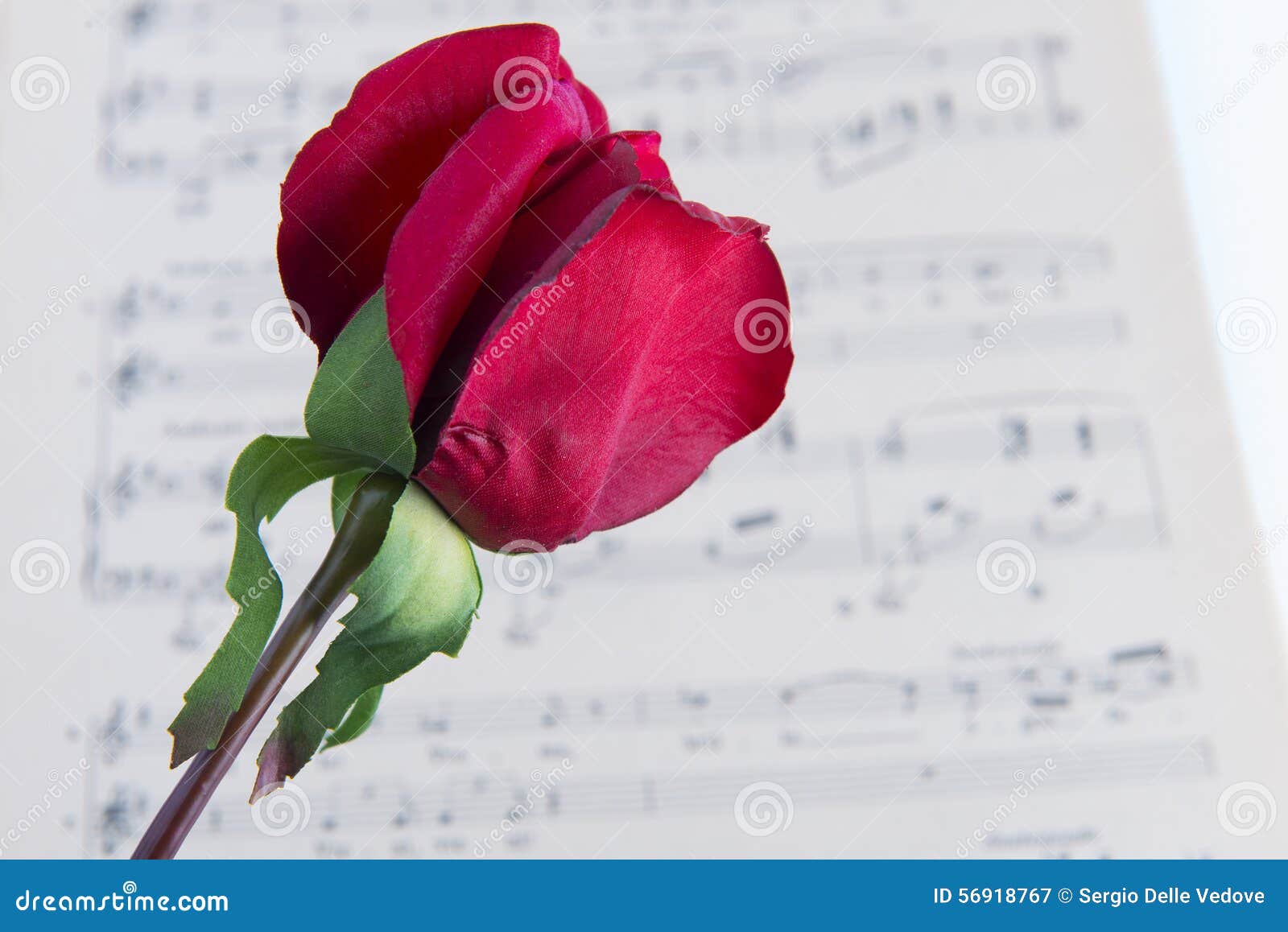 Music and rose stock image. Image of flower, notes, music - 56918767
