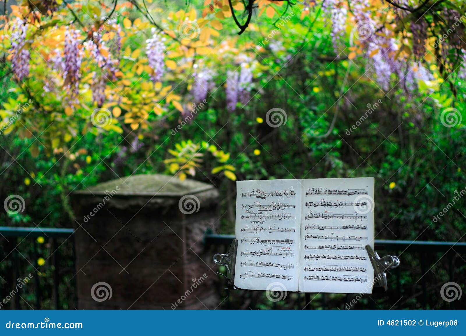 Music score of the spring stock photo. Image of tree, score - 4821502