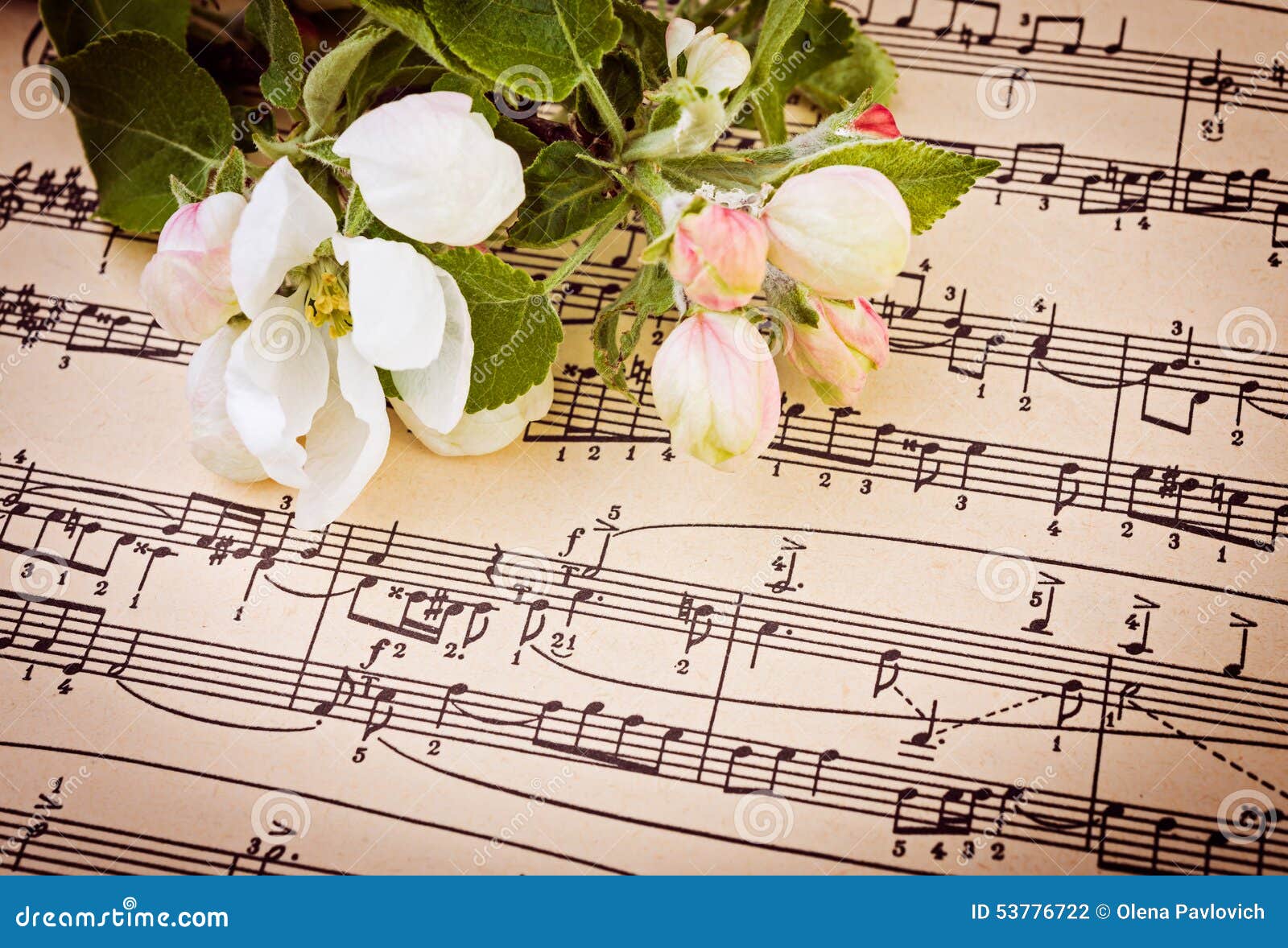 Musical Background with Apple Flowers Stock Photo - Image of clef ...