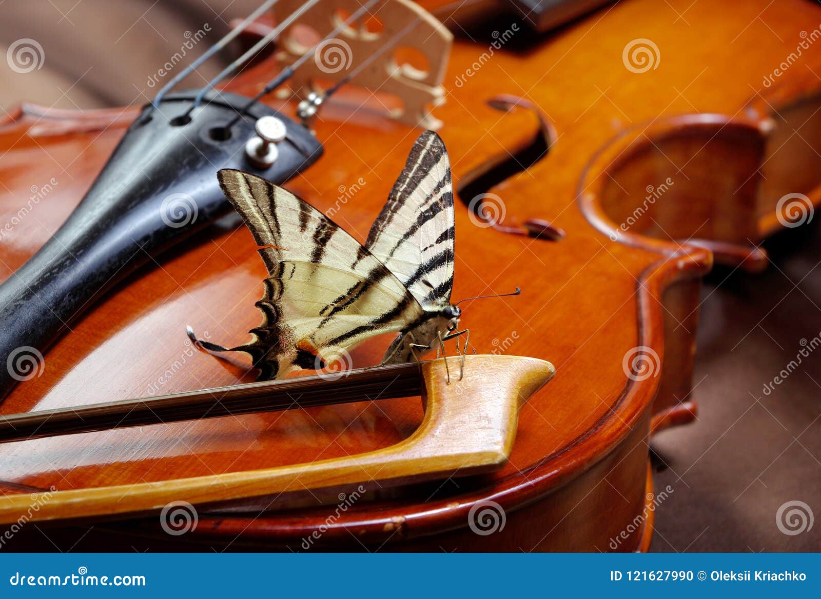 Musical Concept. Violin and Butterfly. Butterfly on the Bow. Stock ...