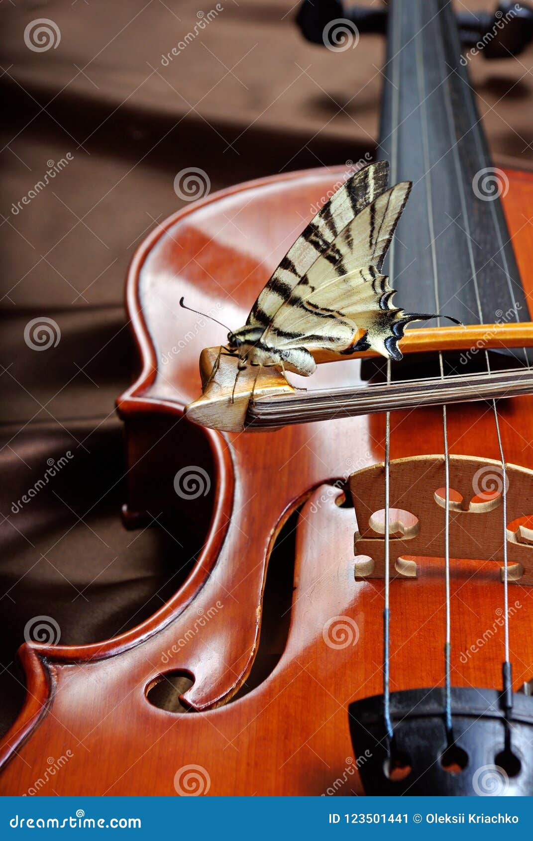 Musical Concept. Violin and Butterfly. Butterfly on the Bow. Stock ...