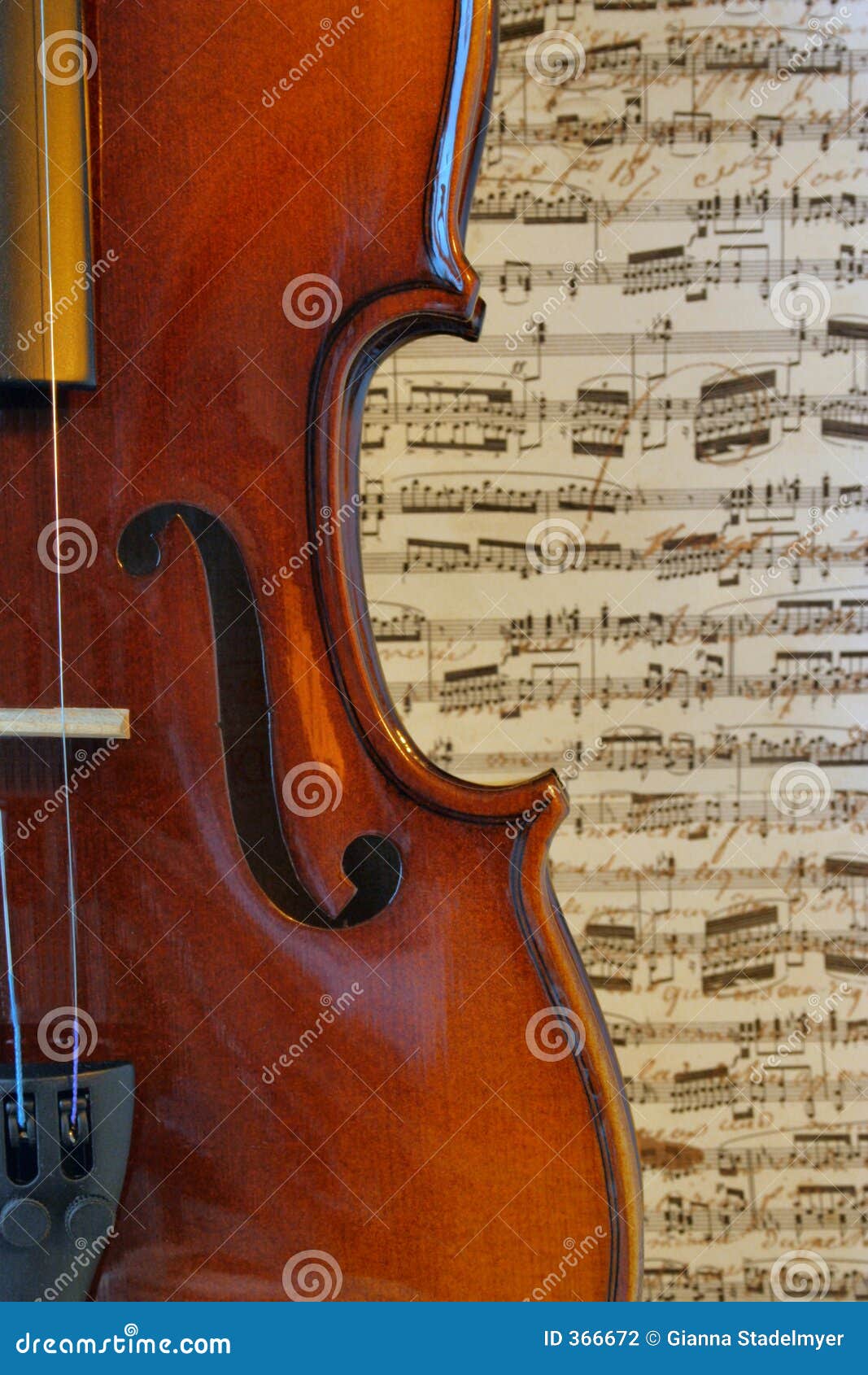 Musical Curves stock photo. Image of relaxation, instrument - 366672