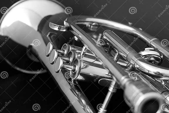 Musical Instrument-Cornet stock photo. Image of plated - 24477708