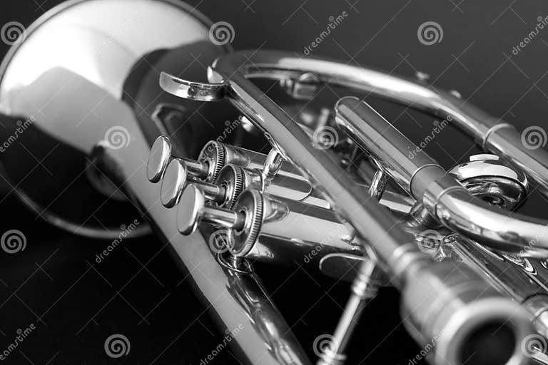Musical Instrument-Cornet stock photo. Image of plated - 24477708