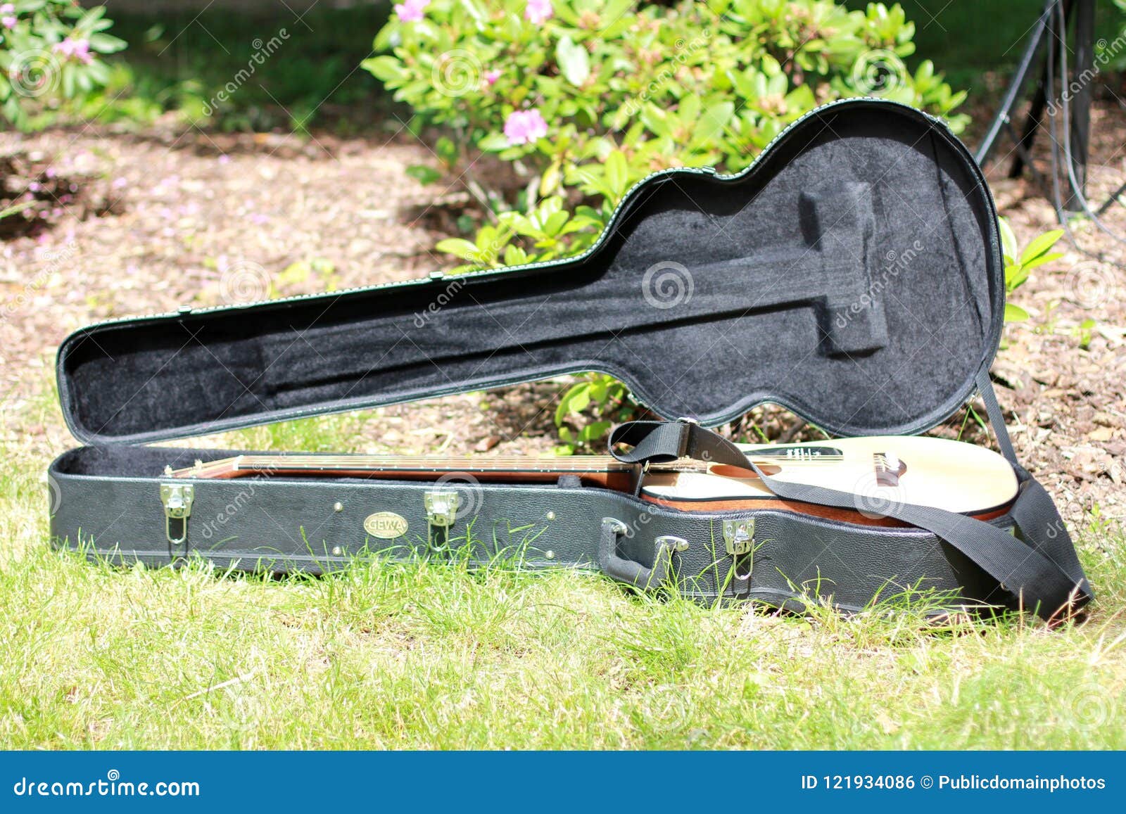 Musical Instrument, Grass, String Instrument, Lawn Picture. Image ...
