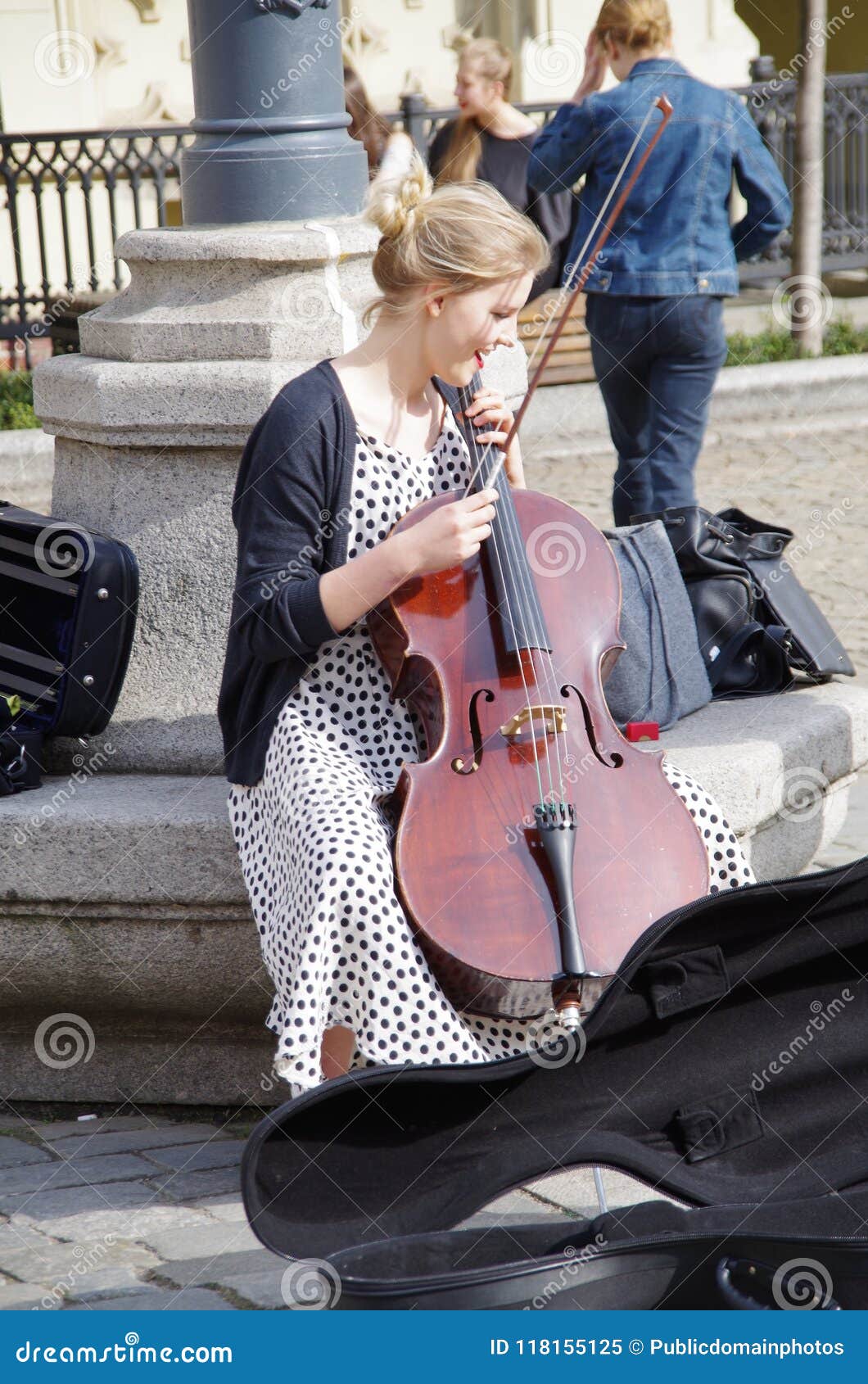 Musical Instrument, Violin Family, String Instrument, Violin Picture ...