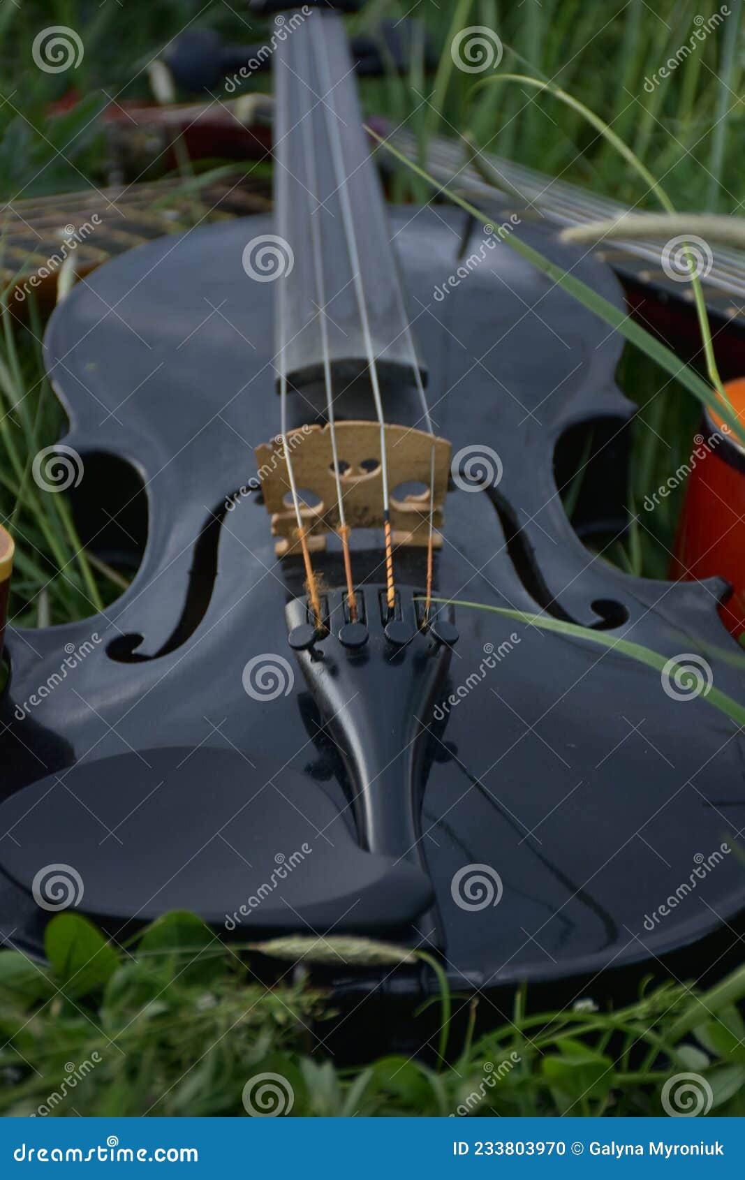 Musical Instruments on the Grass, Stock Photo - Image of artistic ...