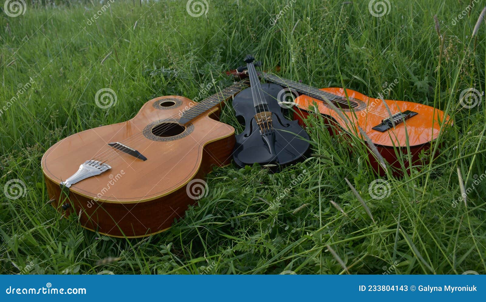 Musical Instruments on the Grass, Stock Image - Image of leisure ...
