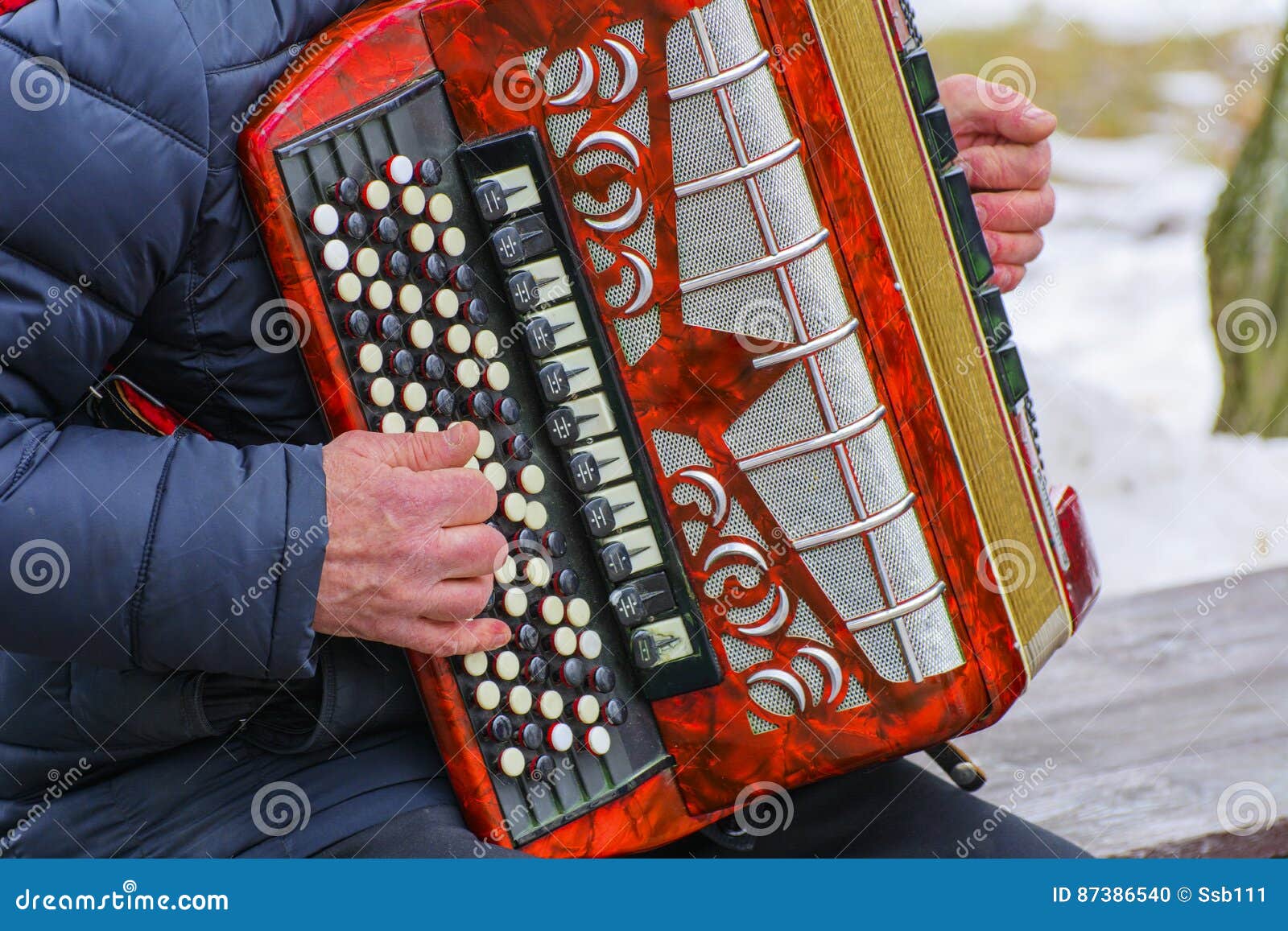 Musical Instruments. Orchestra Performance at the Festival Stock Photo ...