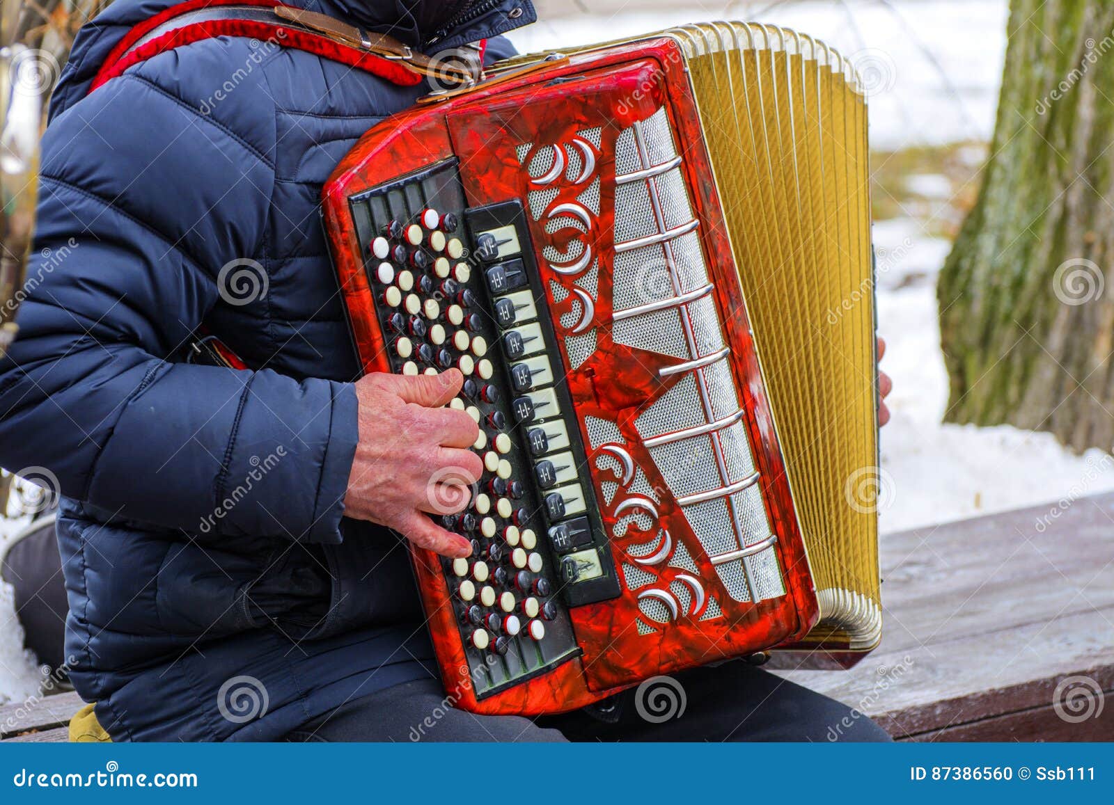 Musical Instruments. Orchestra Performance at the Festival Stock Photo ...