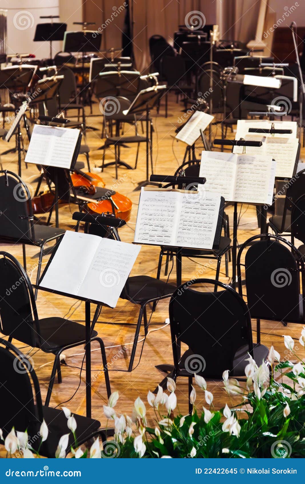 Musical Instruments and Sheet Music Stock Image - Image of live ...