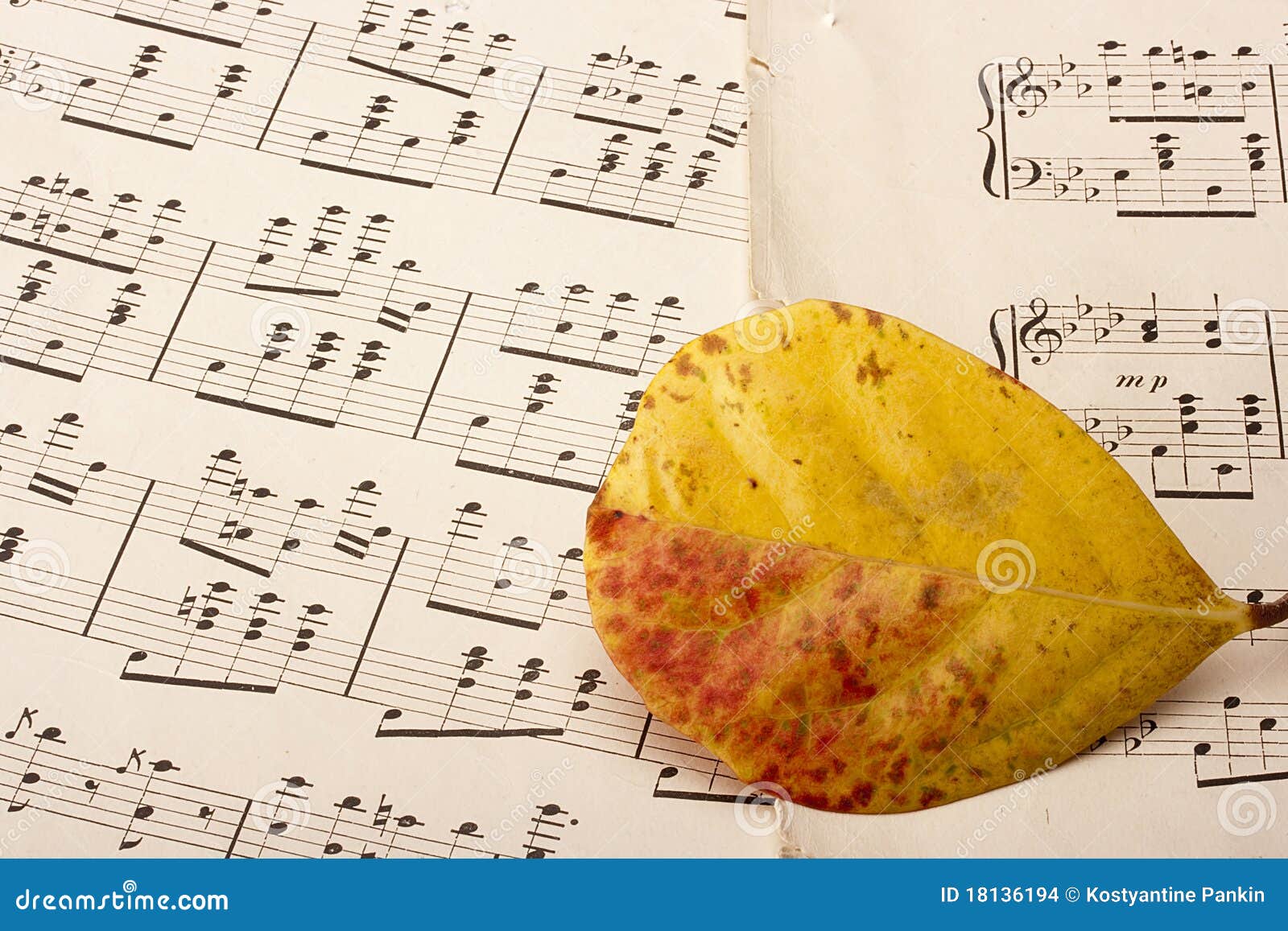 Musical Notes stock photo. Image of work, note, corrupted - 18136194