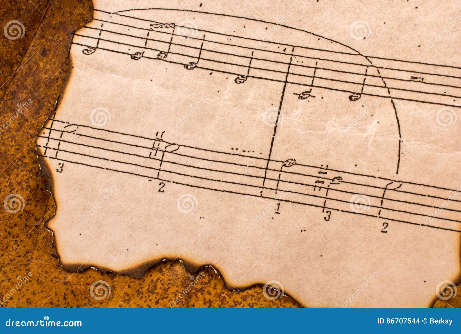 Musical Notes on Burnt Paper Placed Leaf Stock Photo - Image of ...