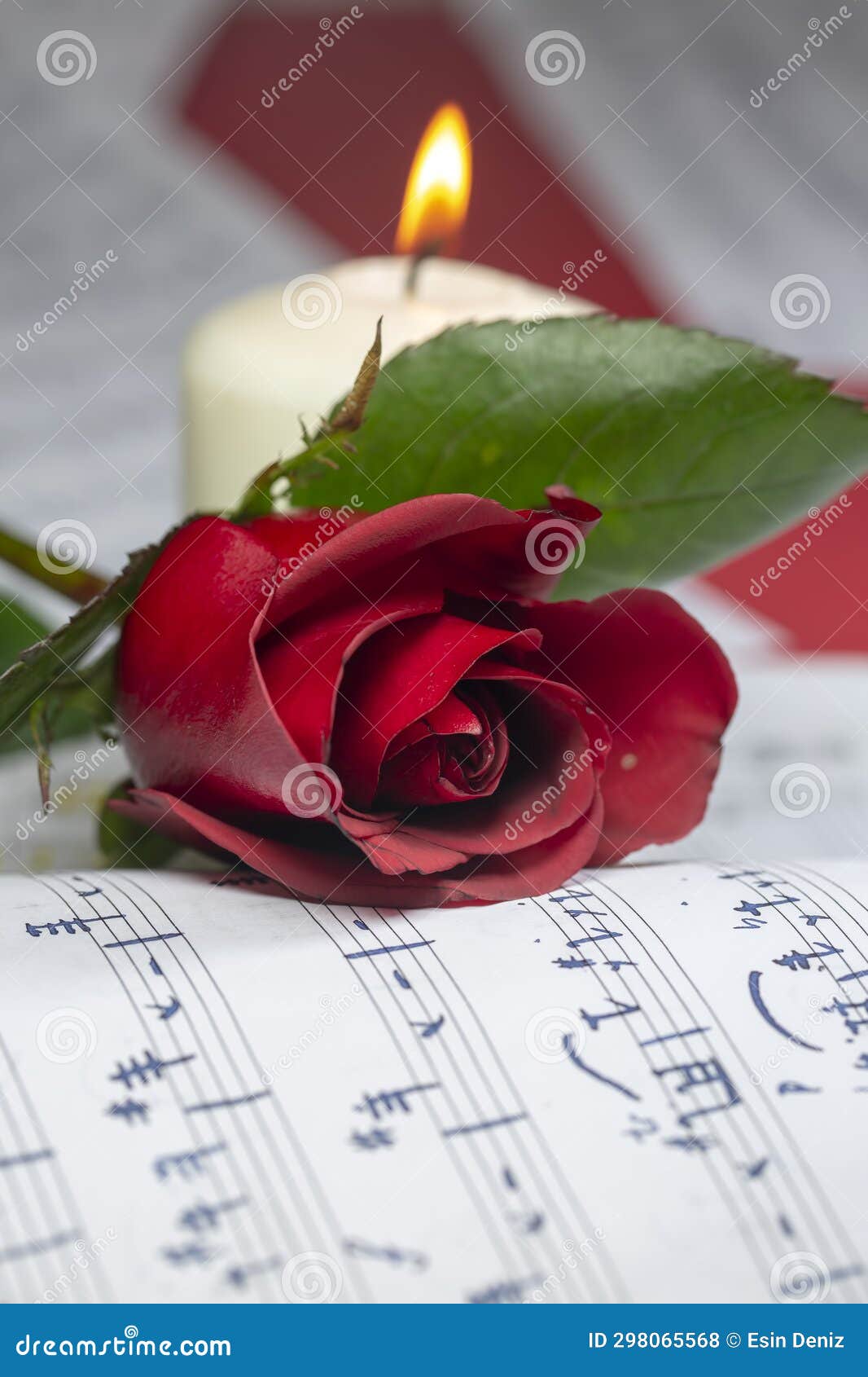 Musical notes and red rose stock photo. Image of melody - 298065568