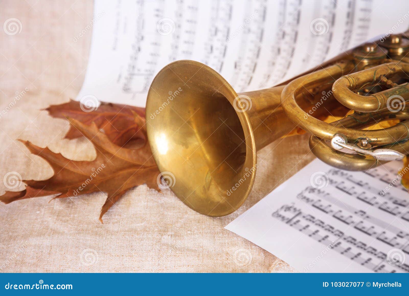 Musical notes and trumpet. stock image. Image of parade - 103027077