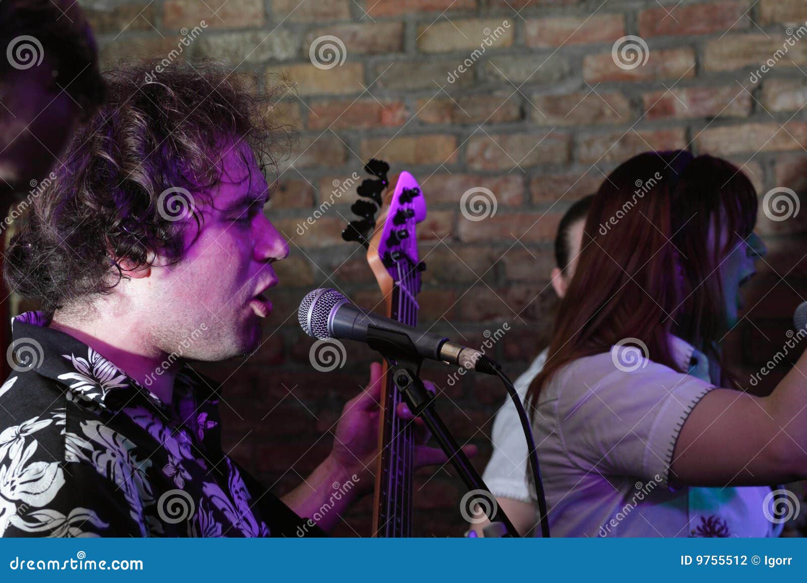 Musical performance stock photo. Image of group, sound - 9755512