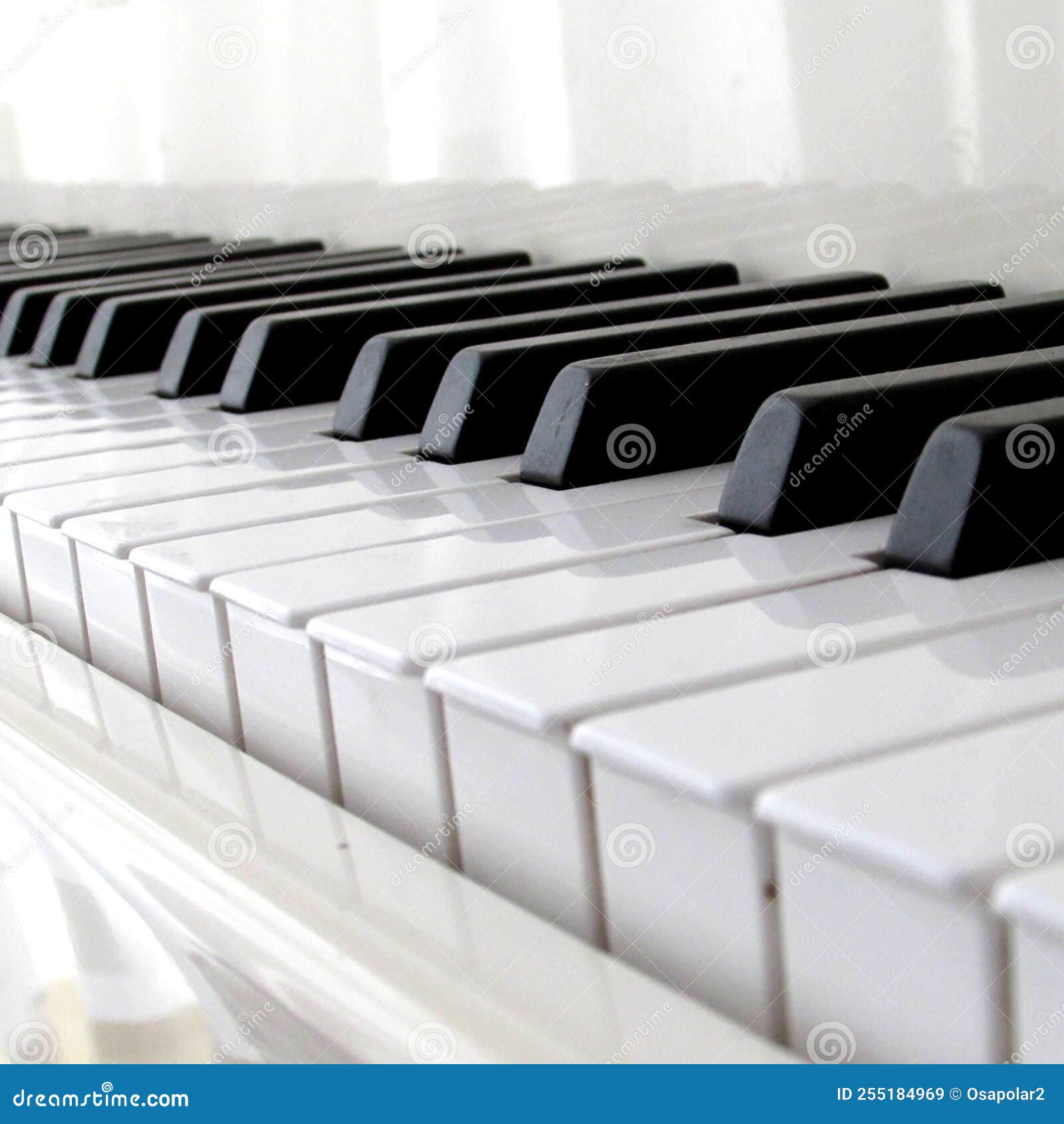 Musical Piano keyboard stock image. Image of blackandwhitephotography ...