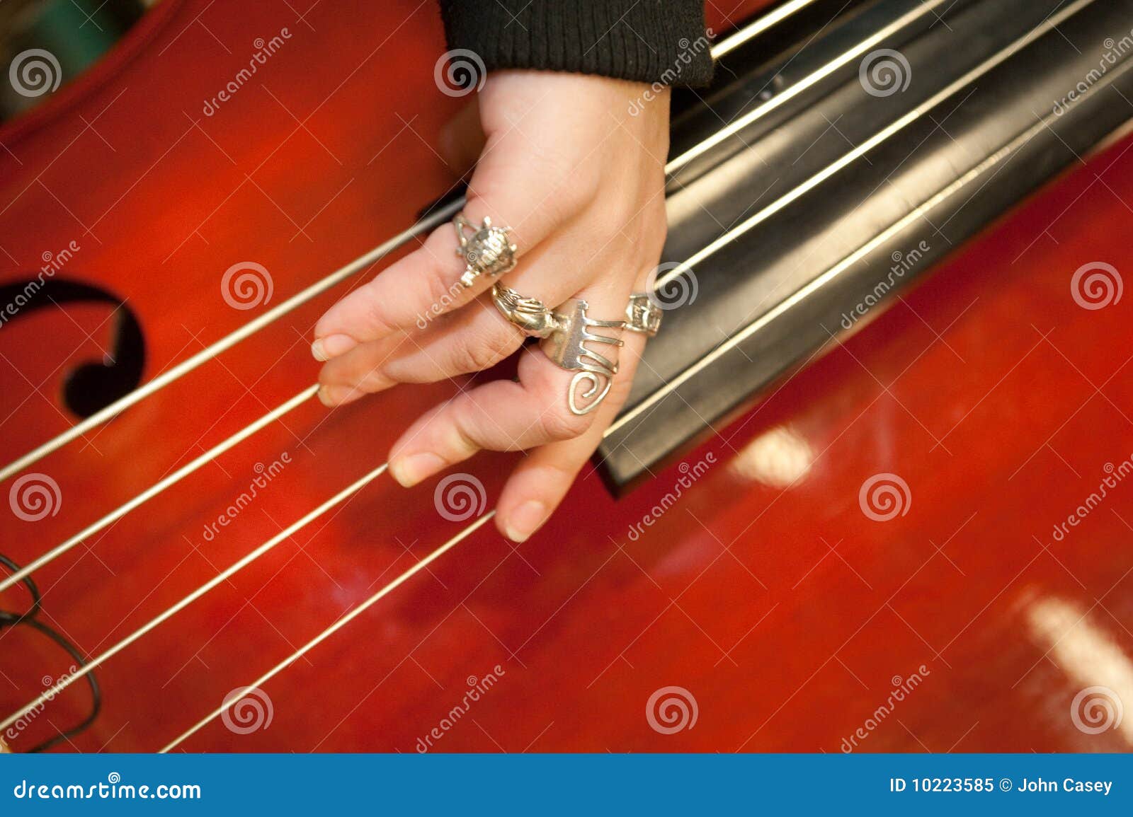 Musical string instrument stock image. Image of polish - 10223585