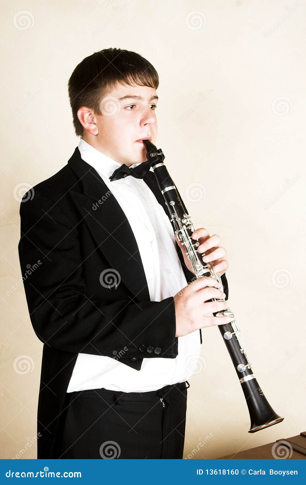 Musician stock photo. Image of person, handsome, people - 13618160