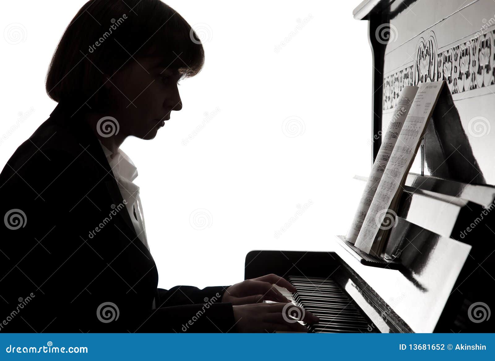 Musician stock photo. Image of concert, people, music - 13681652