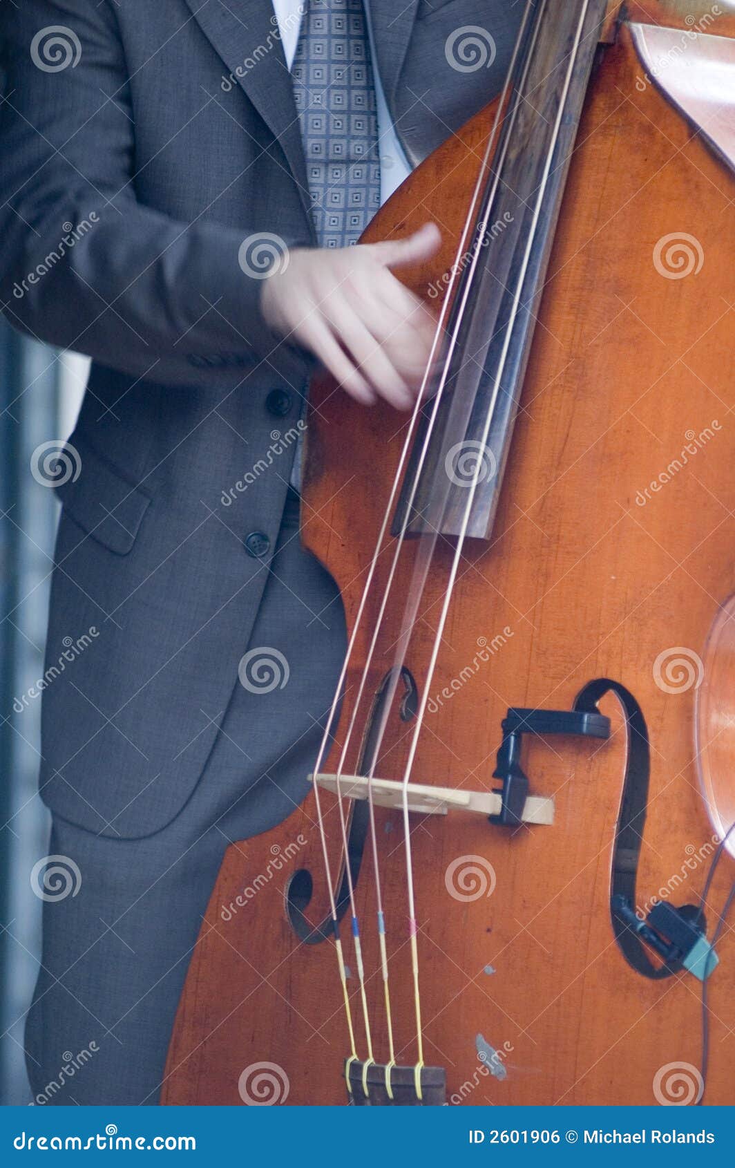 Musician Picture. Image: 2601906