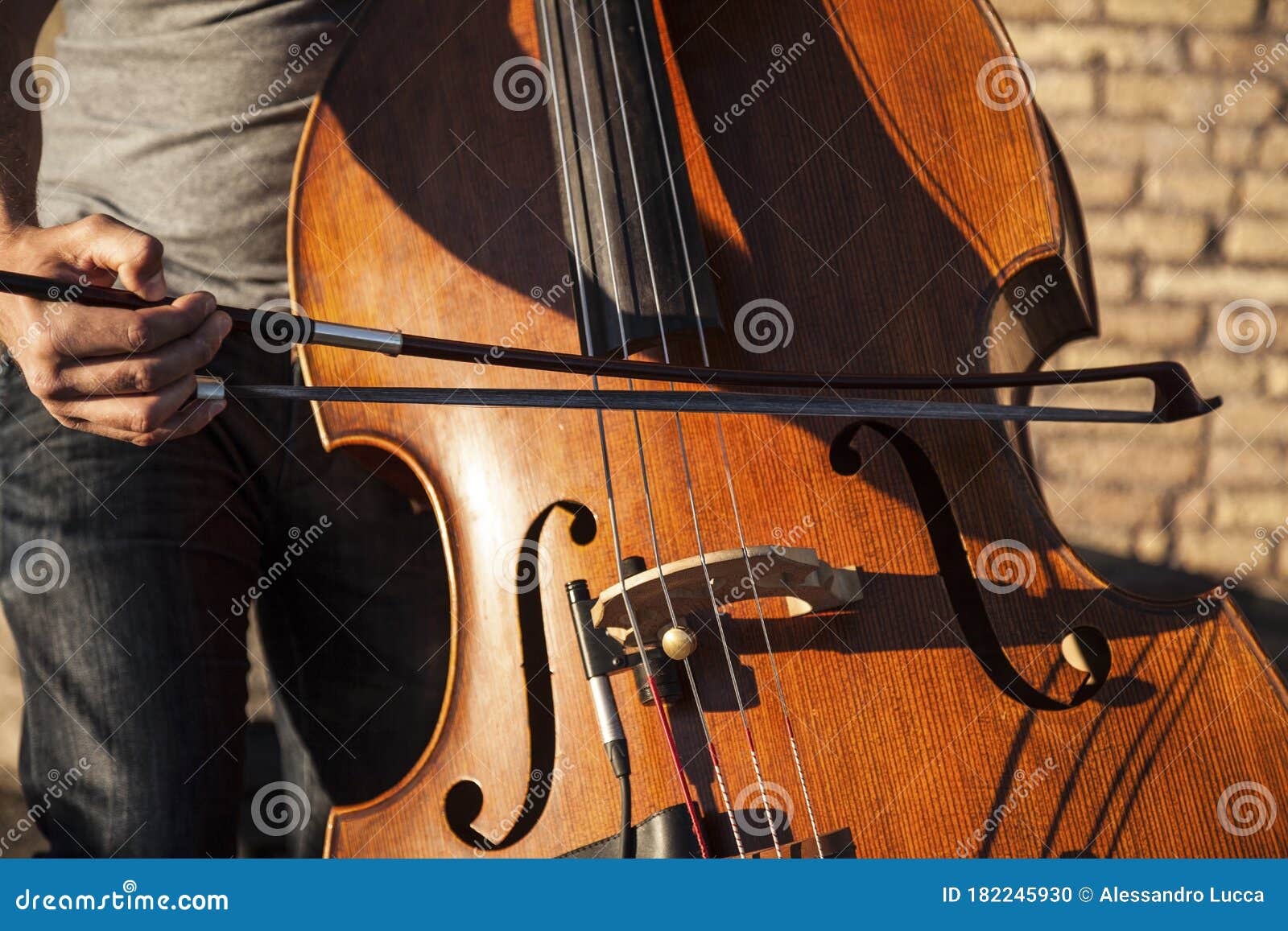 Musician playing the cello stock photo. Image of sound - 182245930