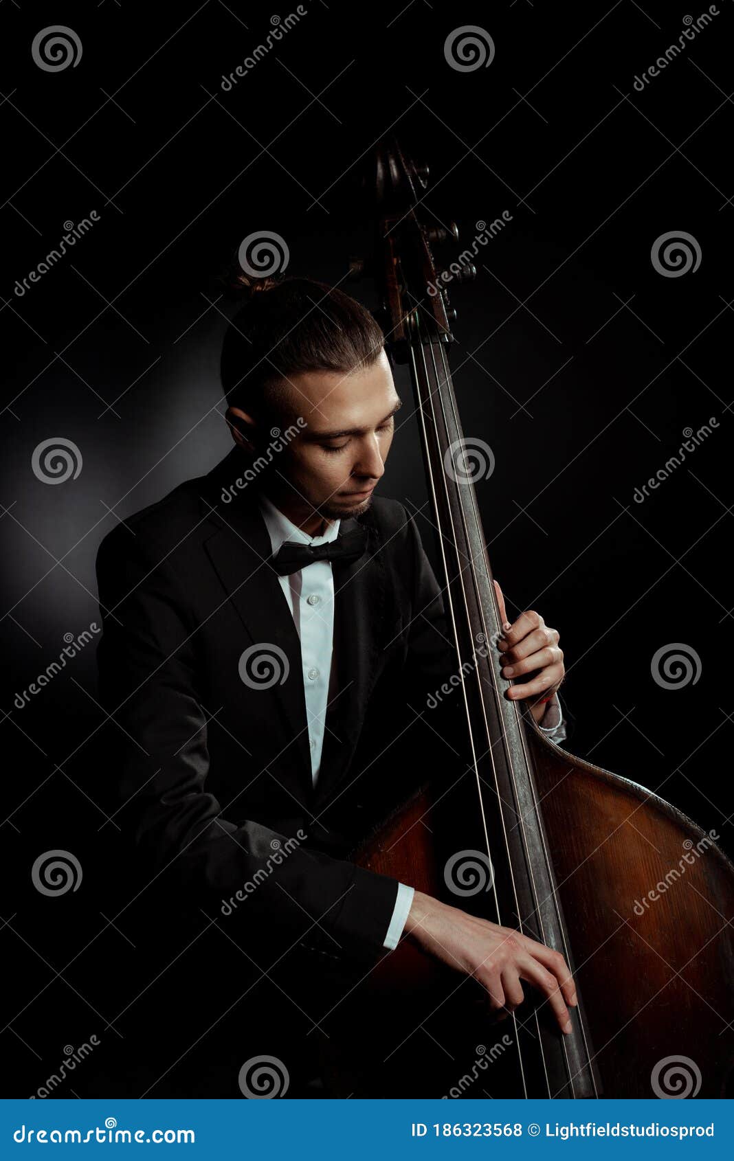 Musician Playing on Double Bass on Stock Photo - Image of stage ...