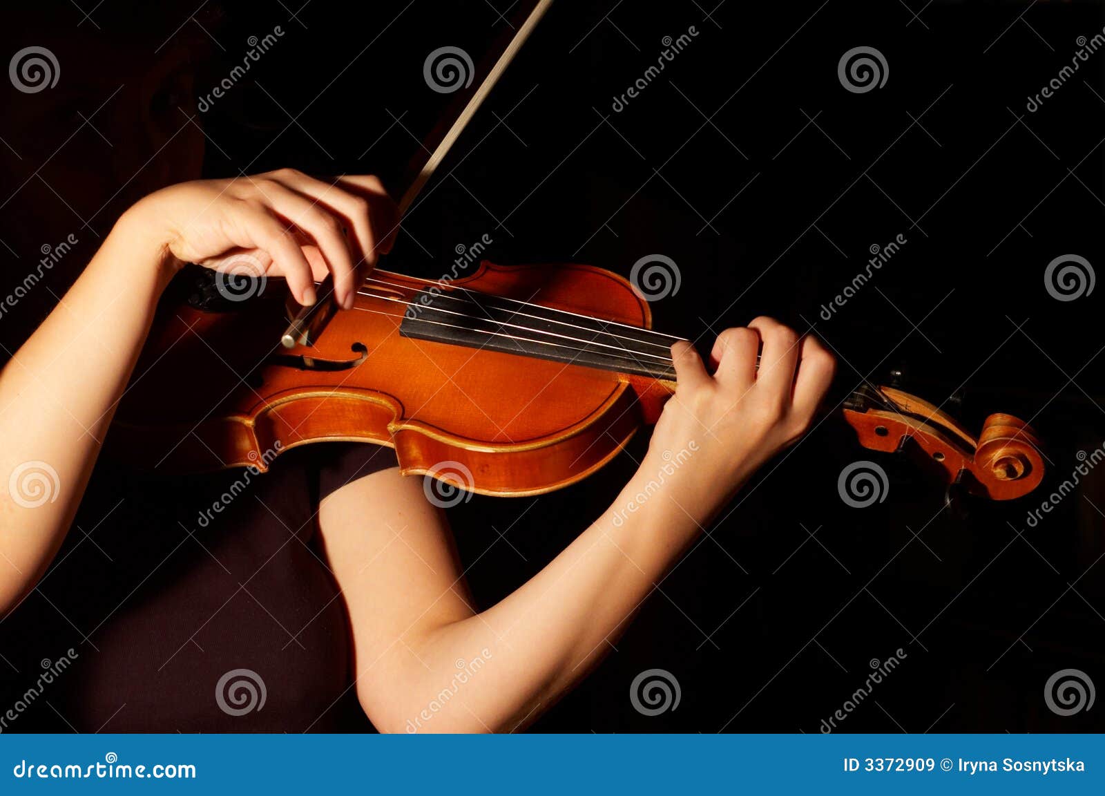 Musician playing violin stock image. Image of italian - 3372909