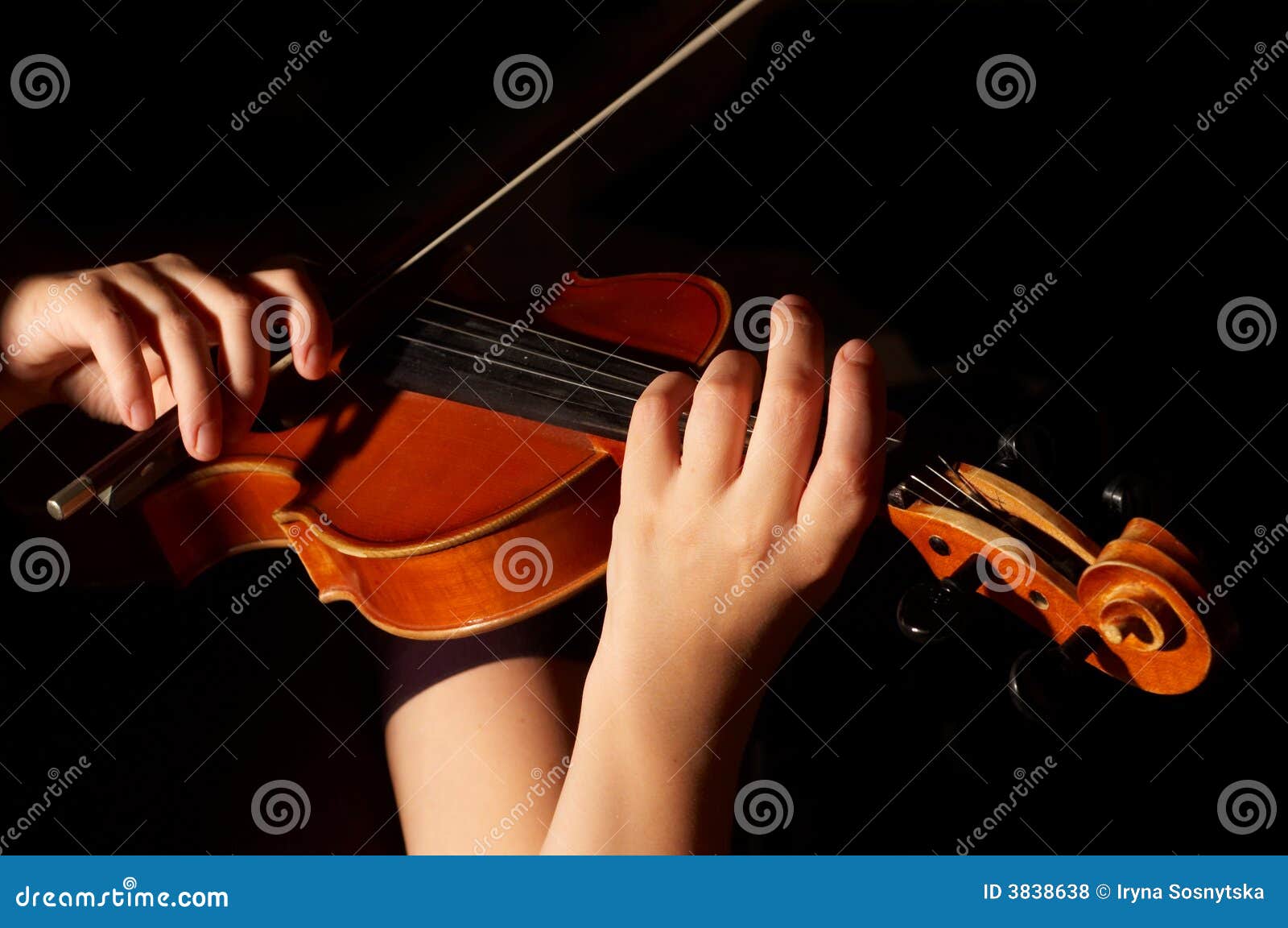 Musician playing violin stock photo. Image of musical - 3838638