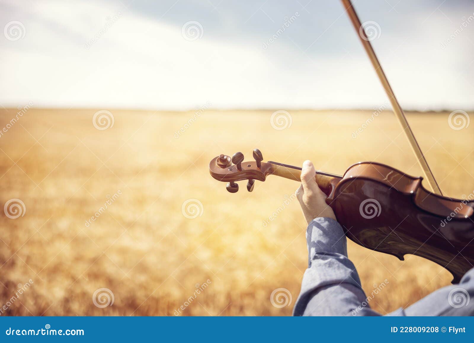 Musician Playing Violin Outdoors Summer Background Stock Photo - Image ...