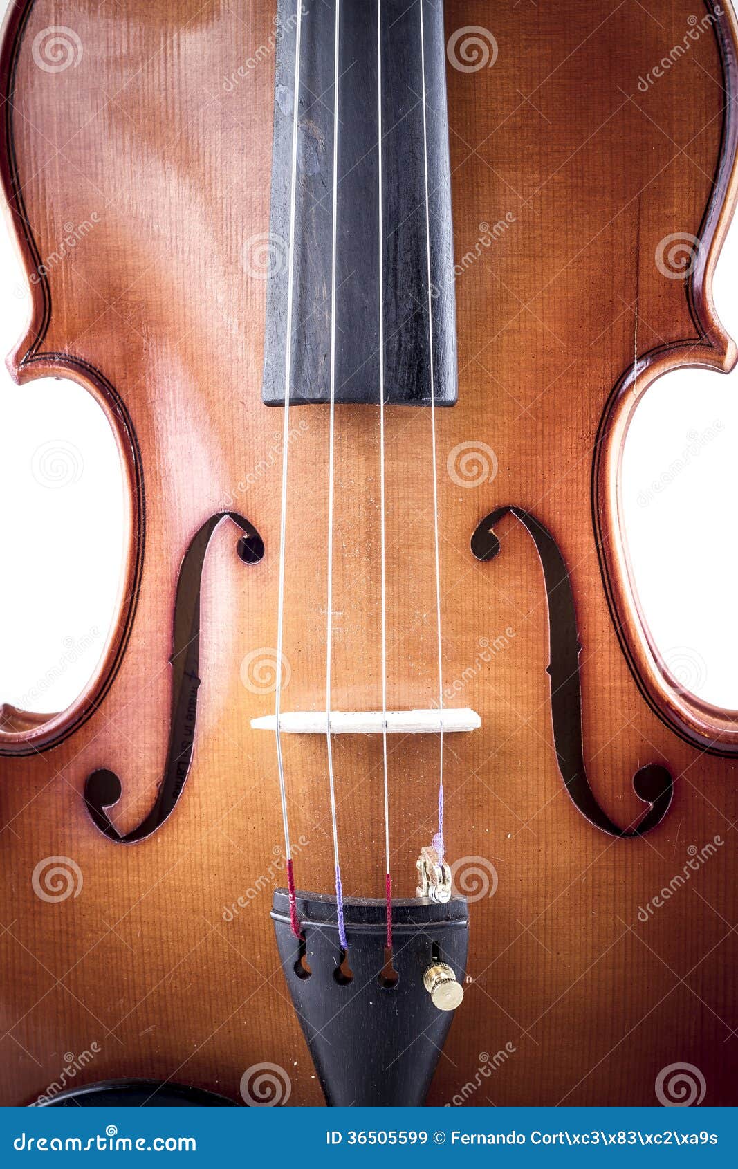 Musician, Violin Front View Isolated on White, Vintage Stock Image ...