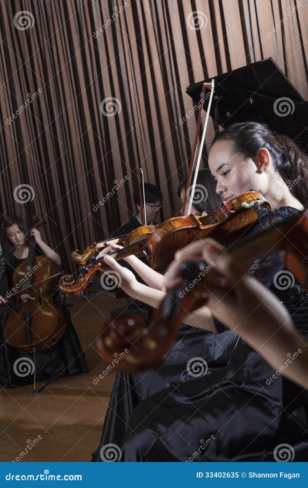 Musicians Playing during a Performance, Violinists at the Front Stock ...
