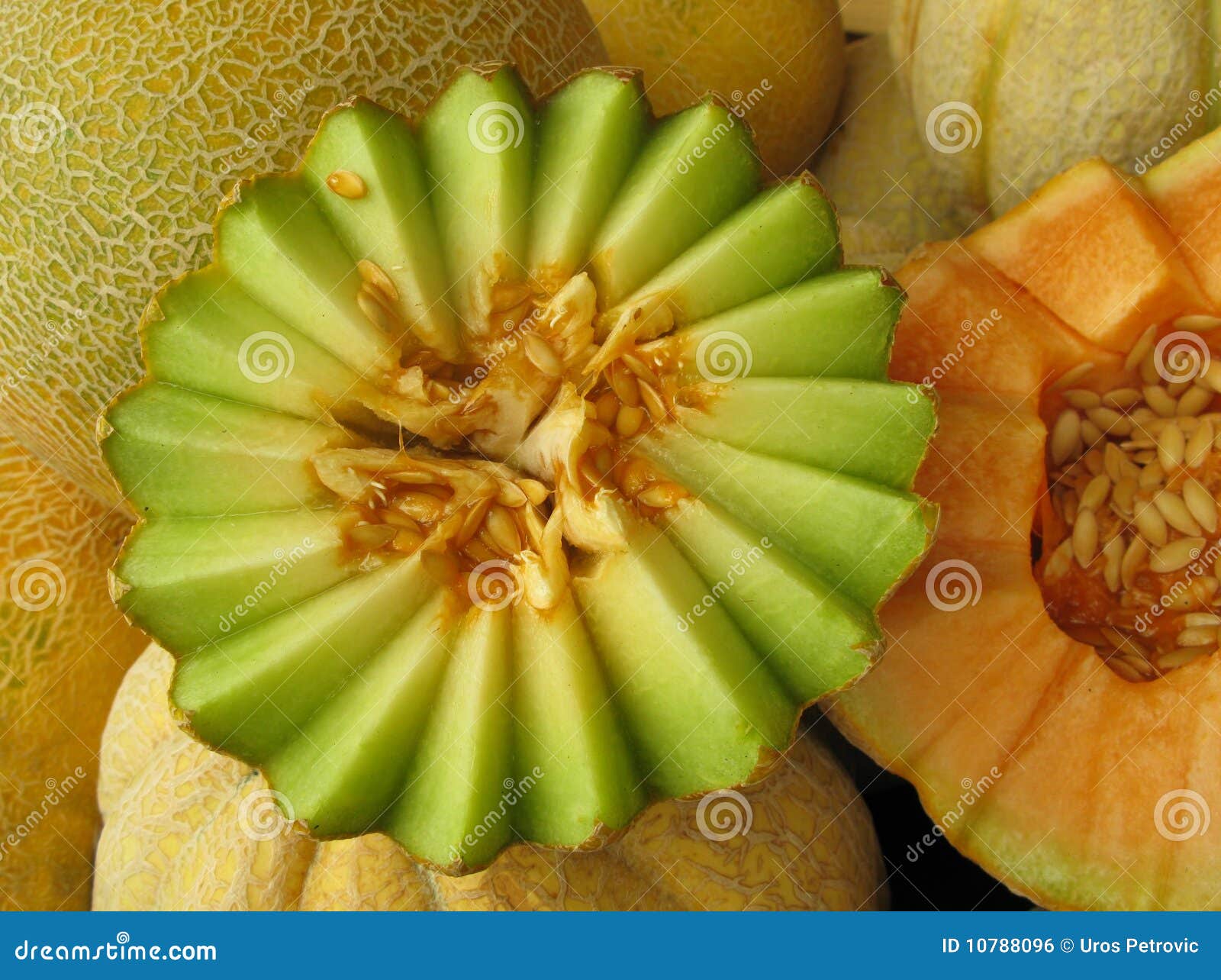 Musk melon stock photo. Image of round, honeydew, rounds - 10788096