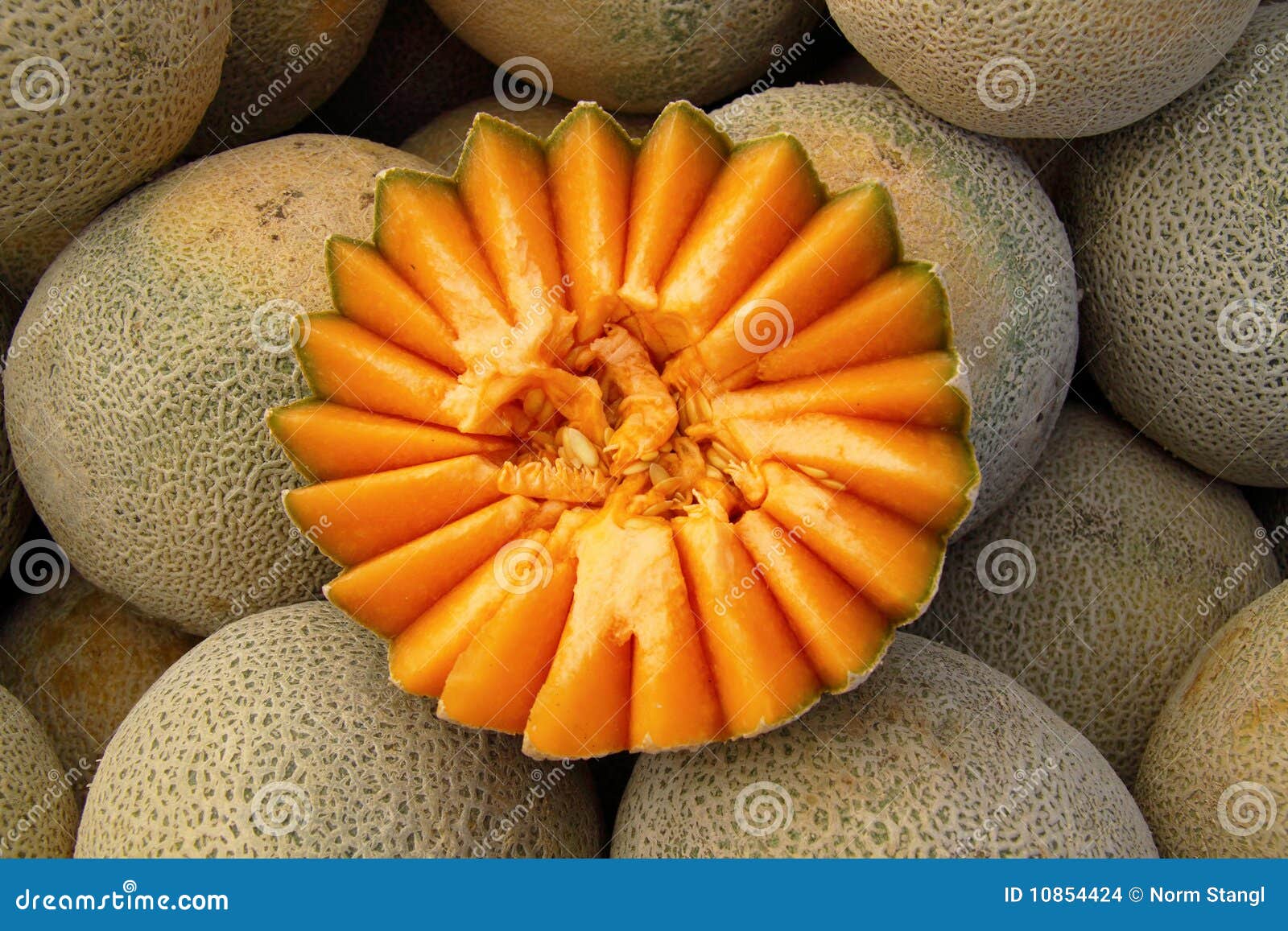 Musk Melon stock photo. Image of musk, display, orange - 10854424
