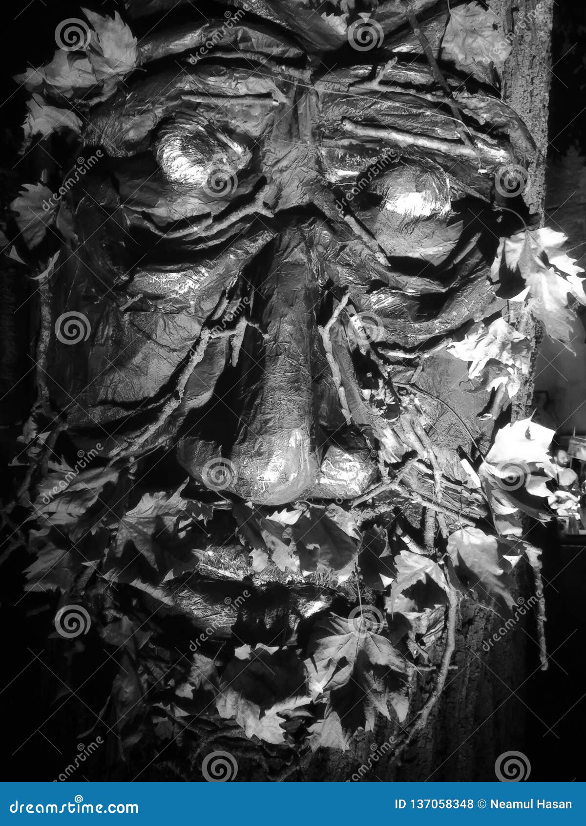 Musk stock photo. Image of musk, herbs, wood, human - 137058348