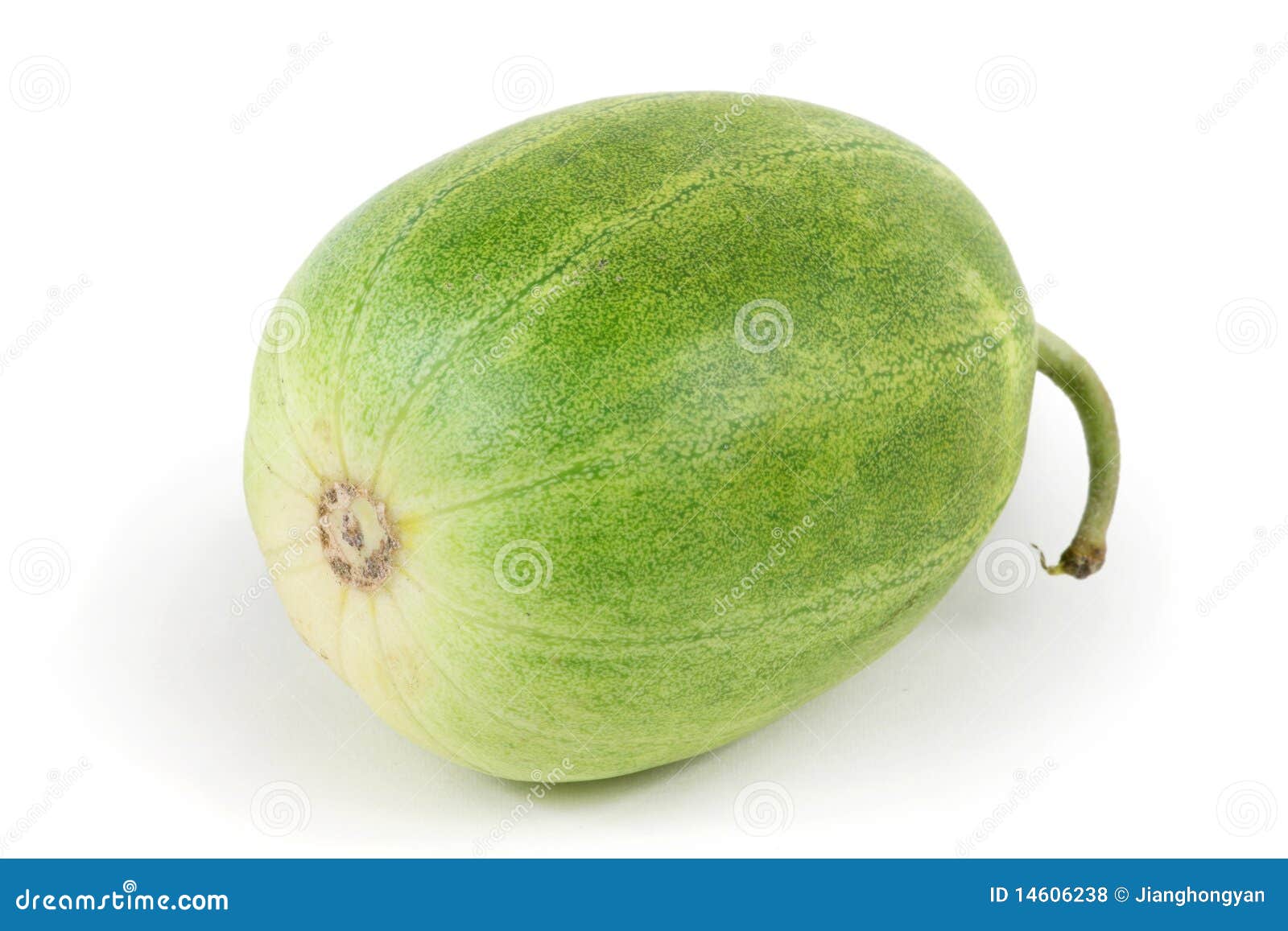 Muskmelon stock photo. Image of isolated, path, food - 14606238