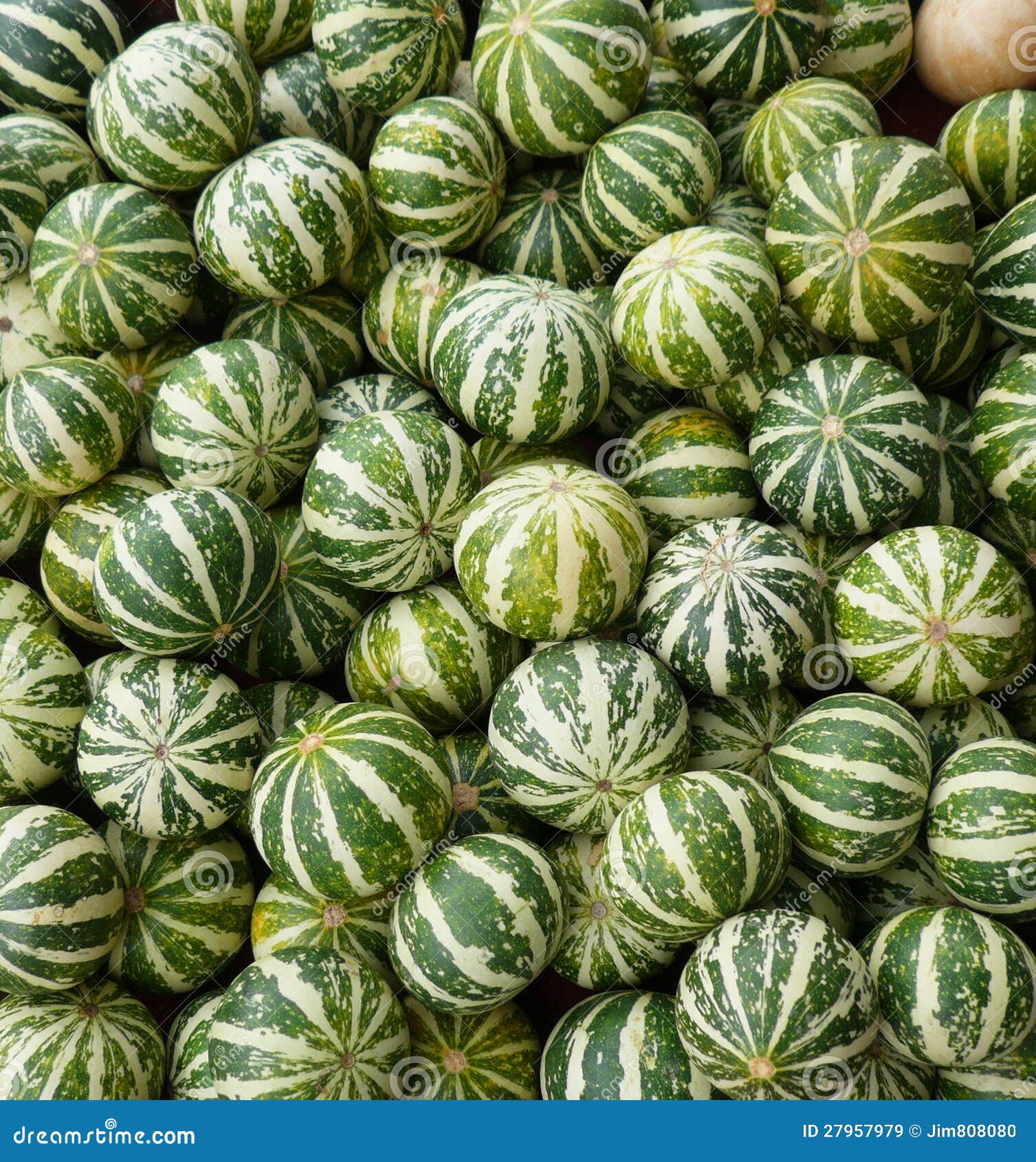 Muskmelon stock image. Image of health, nature, circle - 27957979