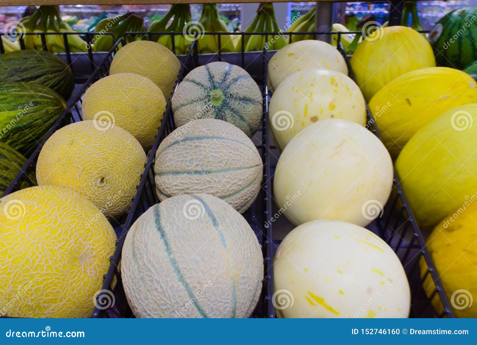 Muskmelon in Different Size and Colors Stock Photo - Image of isolated ...