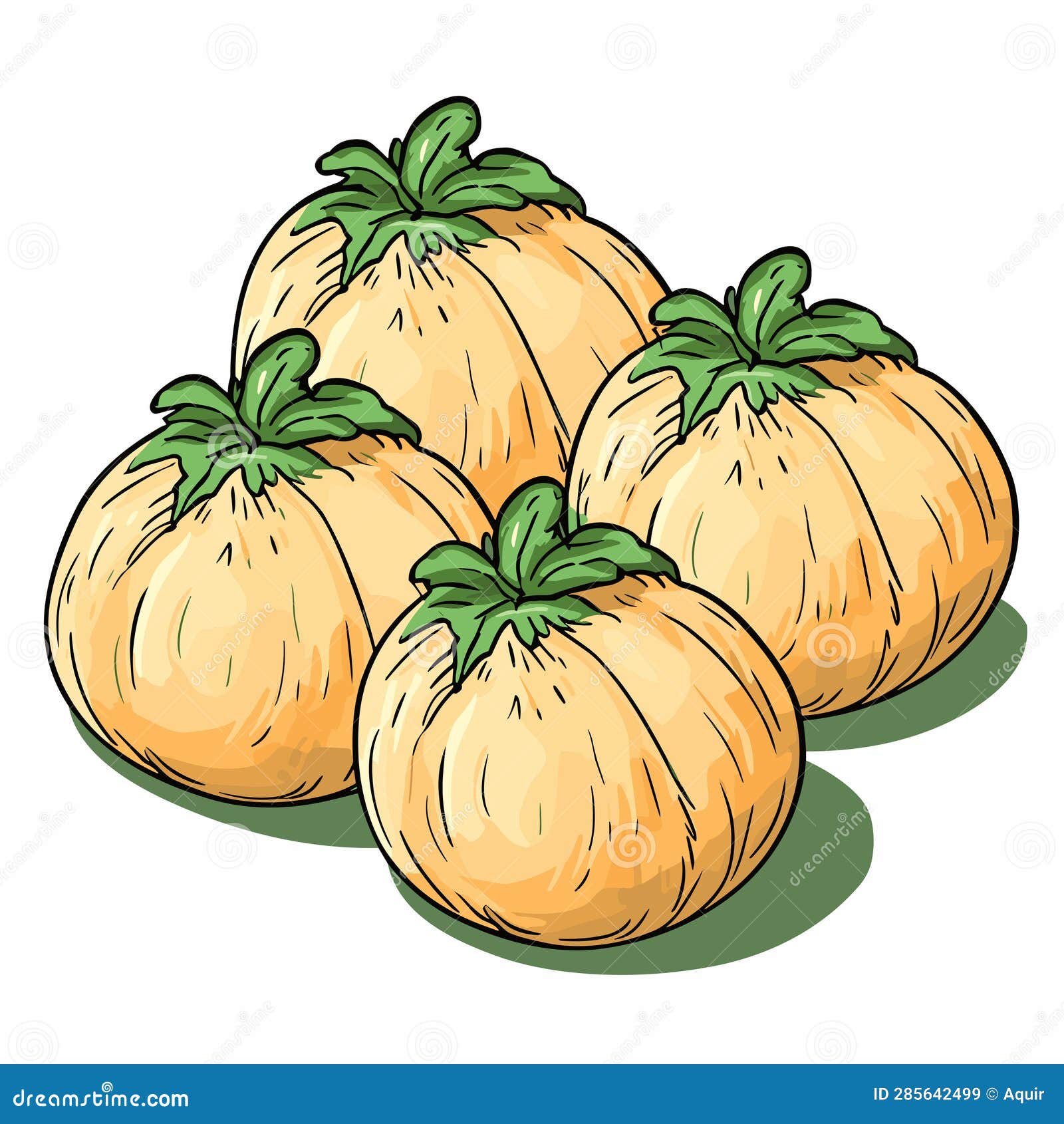Muskmelon Hand-drawn Illustration. Muskmelon. Vector Doodle Style ...