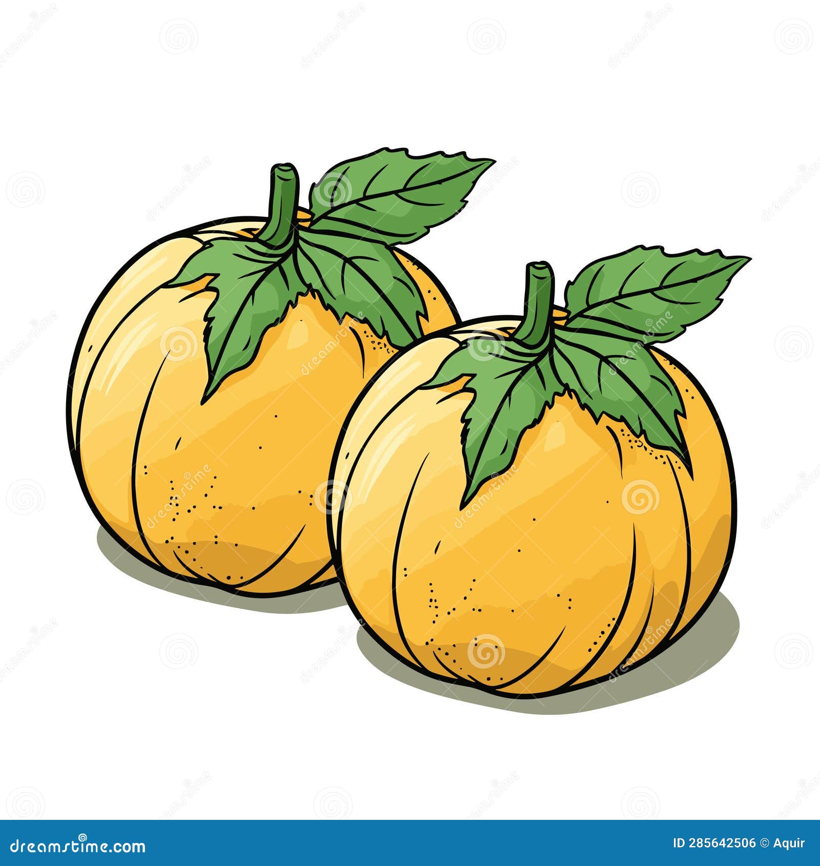 Muskmelon Vector Isolated On White | CartoonDealer.com #239539194