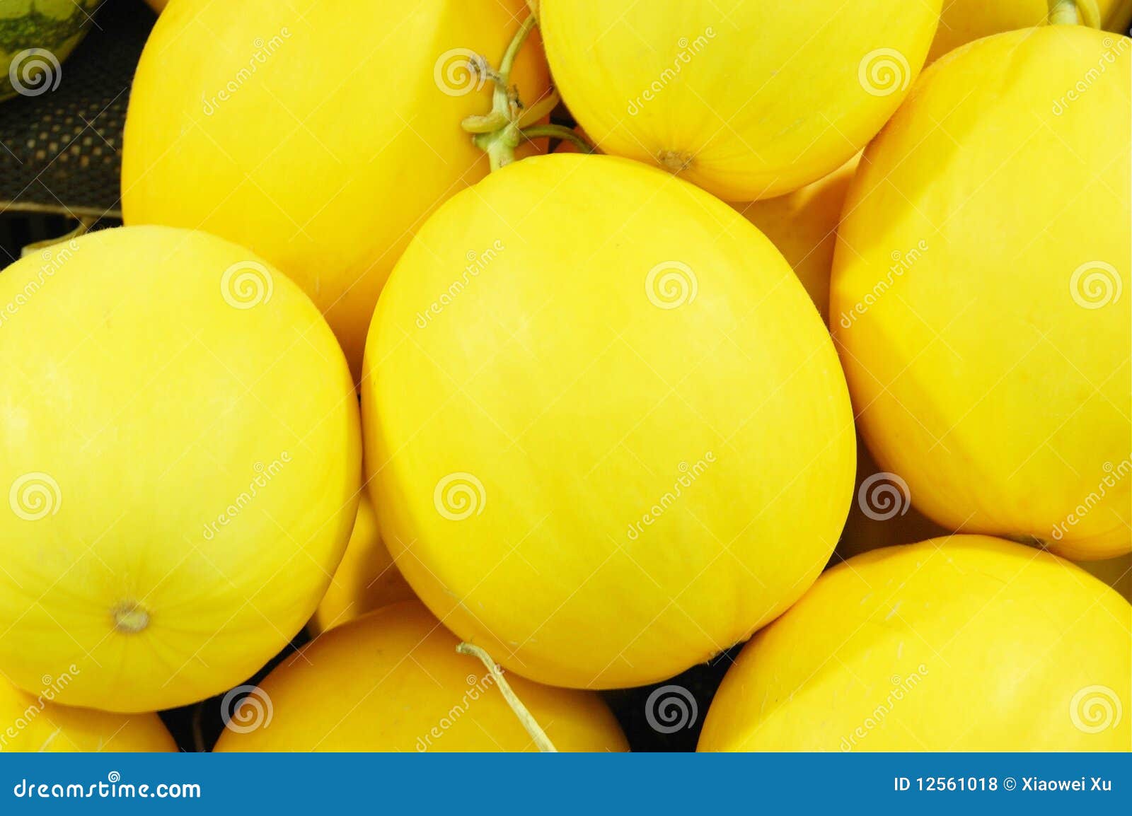 The muskmelons stock photo. Image of ripe, detail, melon - 12561018