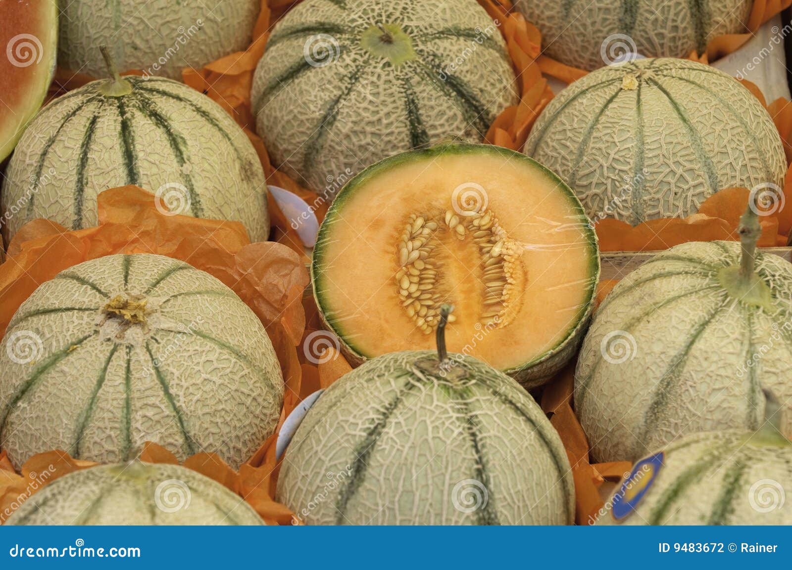 Muskmelons stock photo. Image of freshness, melon, fruit - 9483672