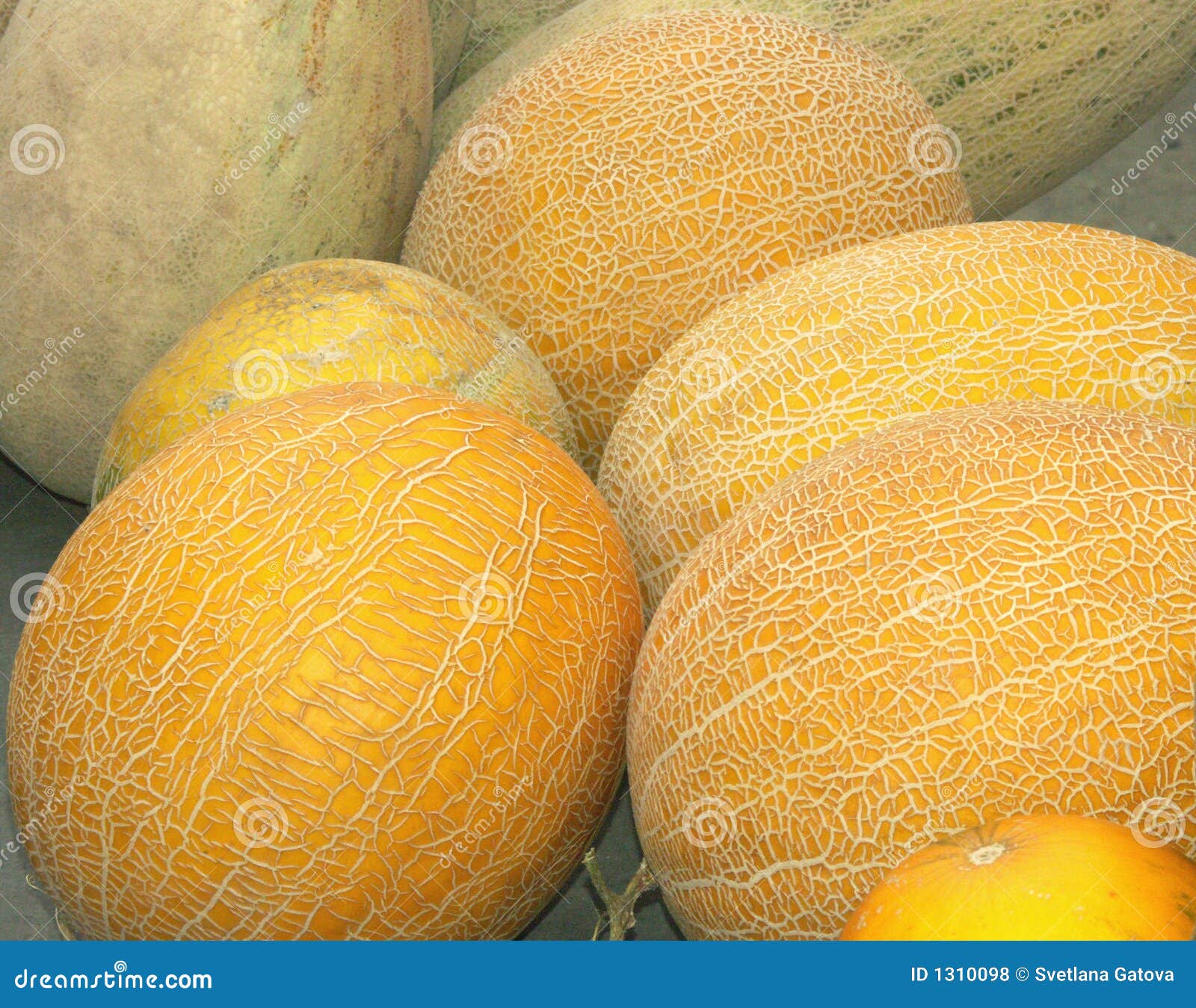 Muskmelons on a counter stock photo. Image of honey, appetizing - 1310098