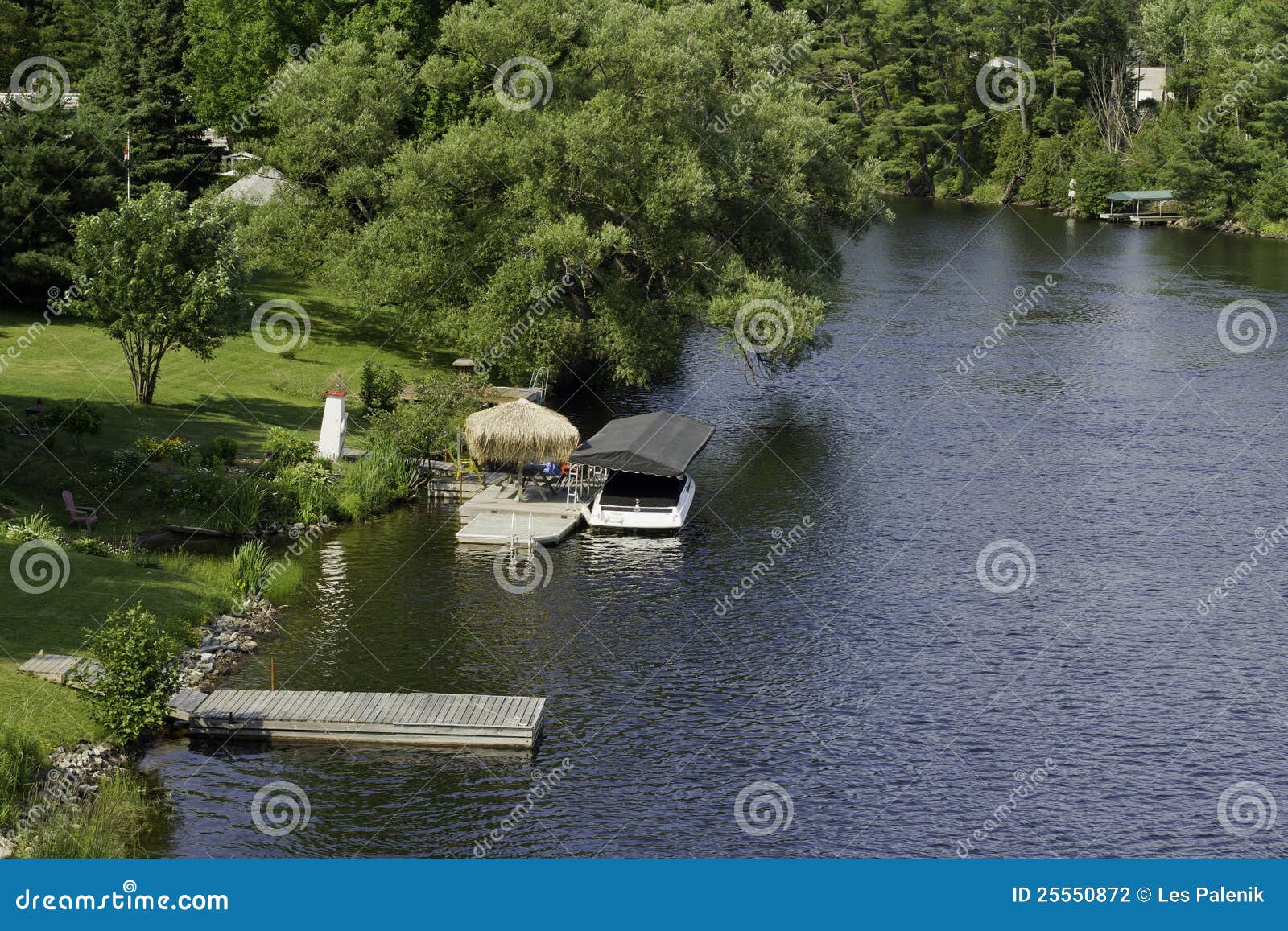 Muskoka River in summer stock photo. Image of tree, umbrella - 25550872