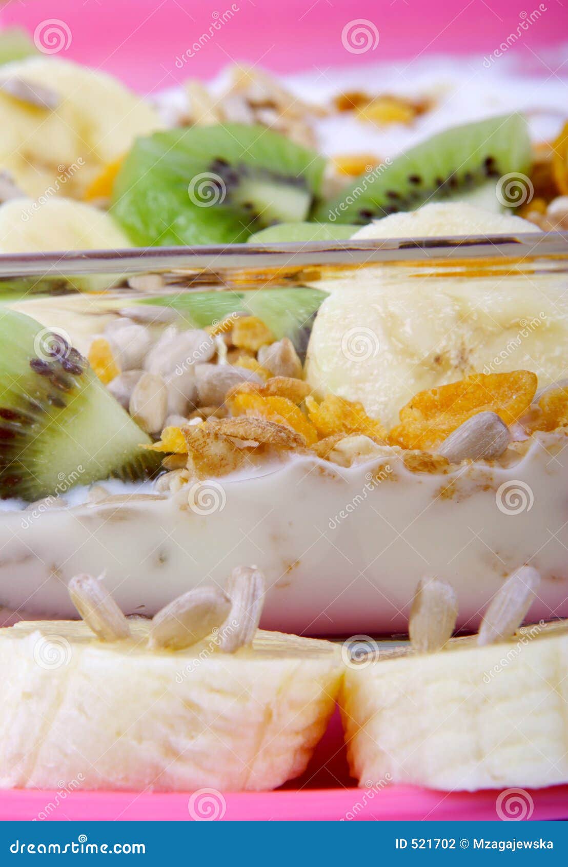 Musli stock photo. Image of guest, feed, hungry, fruits - 521702
