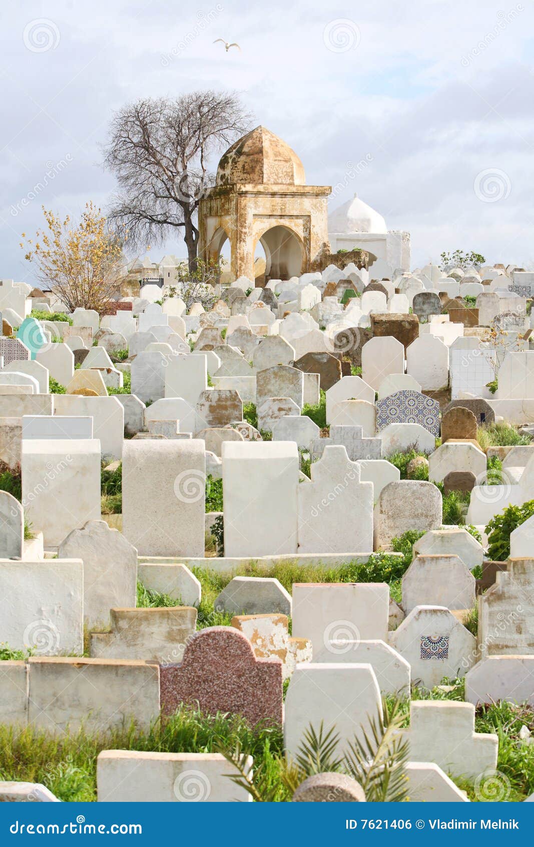 Muslim Cemetery Royalty-Free Stock Image | CartoonDealer.com #19087228