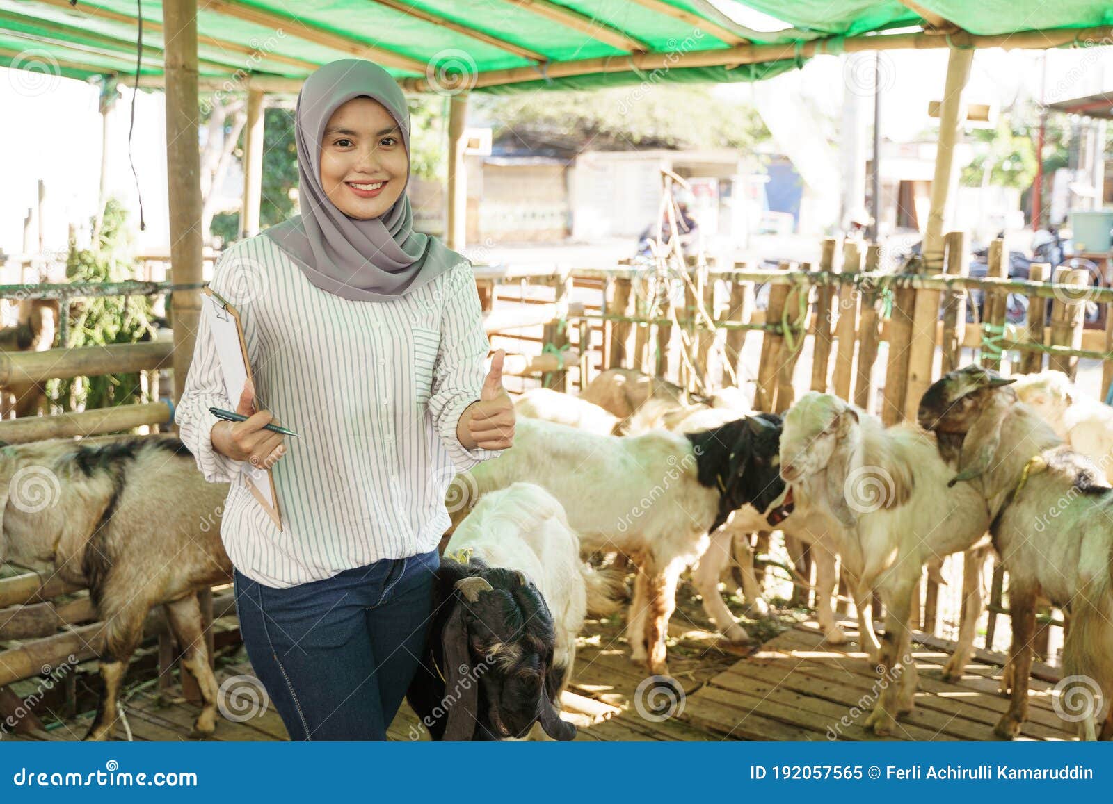 Muslim Female Farmer Doing Check Up for Her Goat Stock Image - Image of ...
