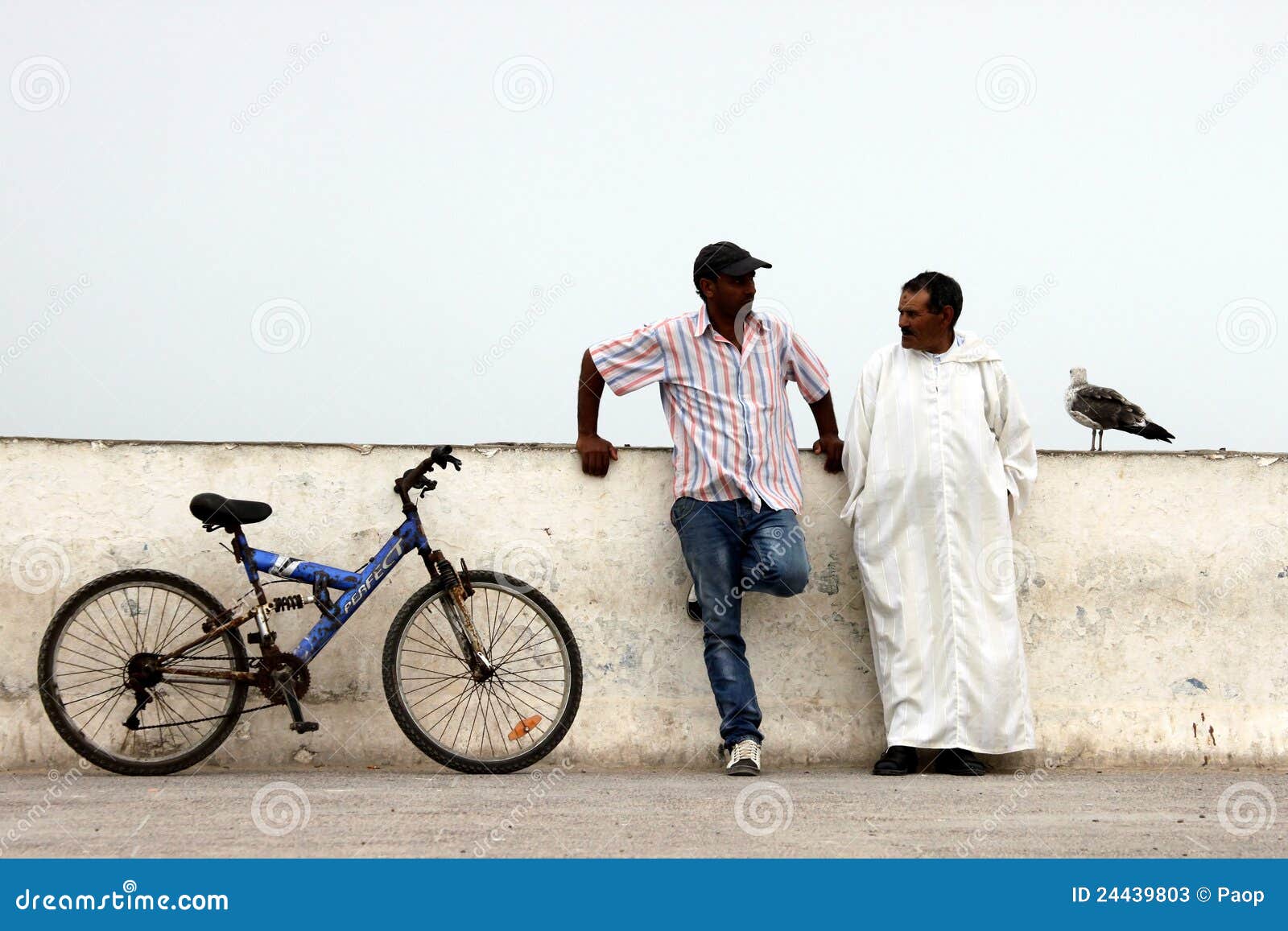 Muslim men talking editorial stock photo. Image of moroccan - 24439803