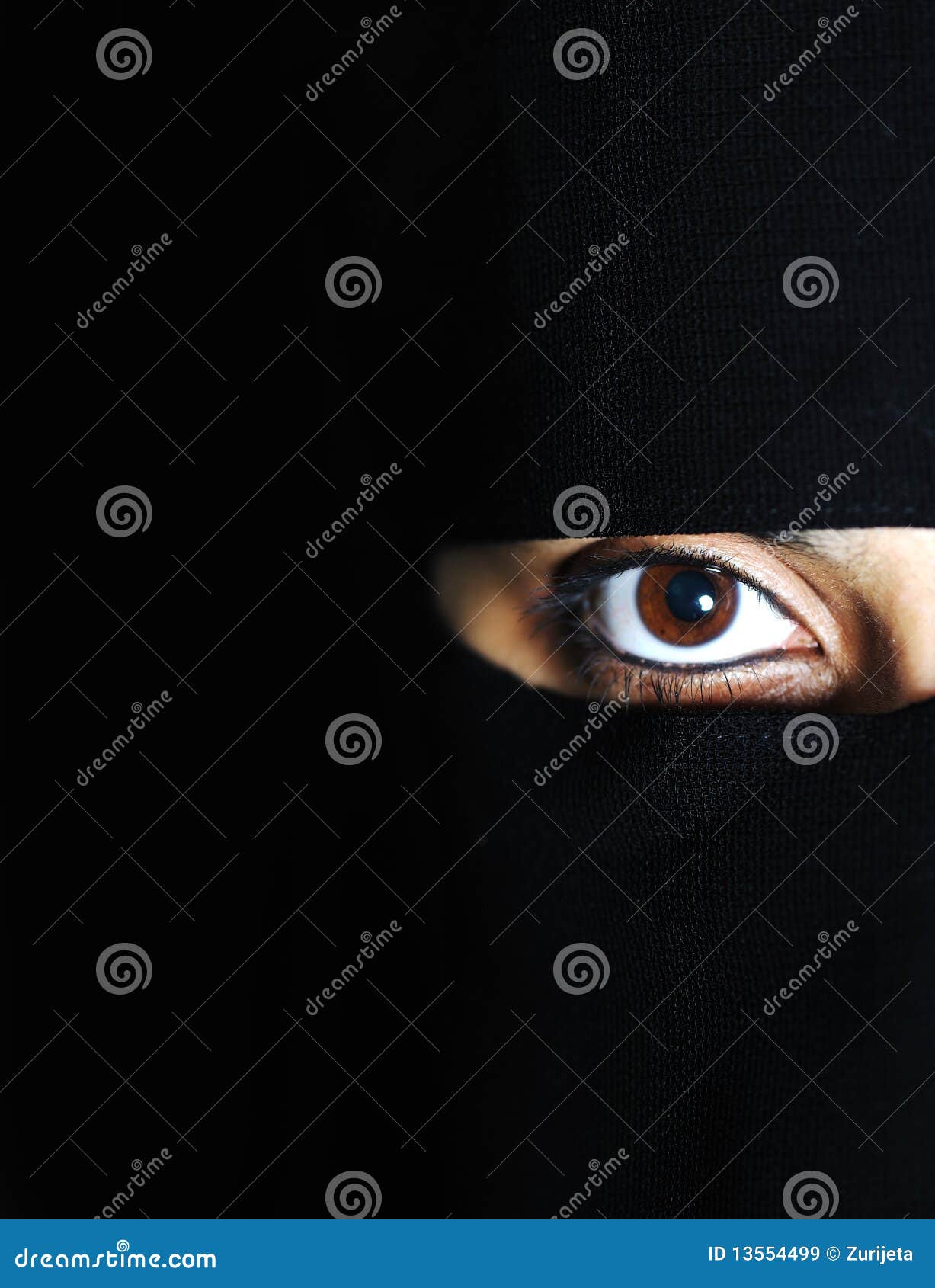 Muslim woman stock image. Image of adorable, attractive - 13554499