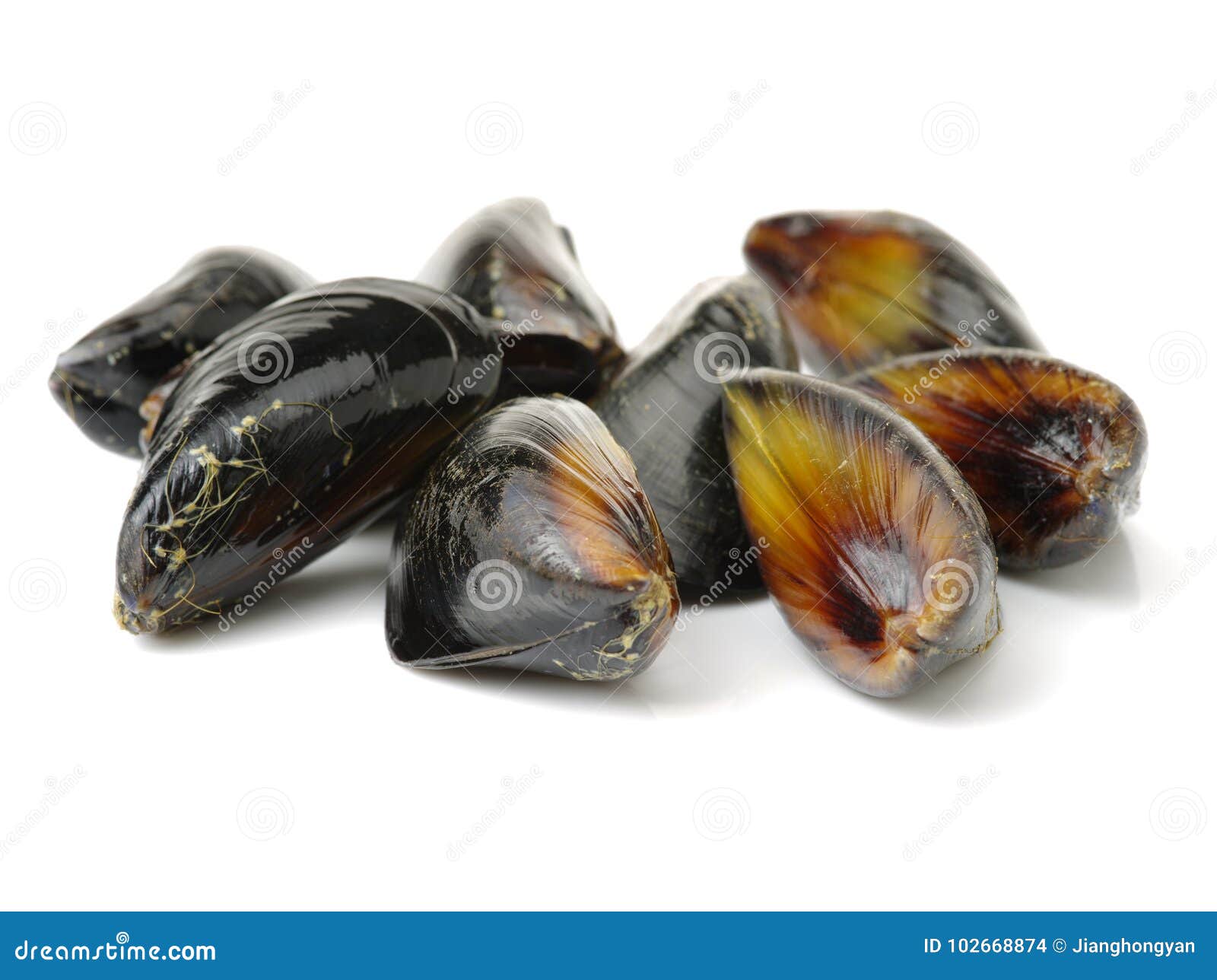 Musse foto de archivo. Imagen de grupo, cocina, frescura - 102668874